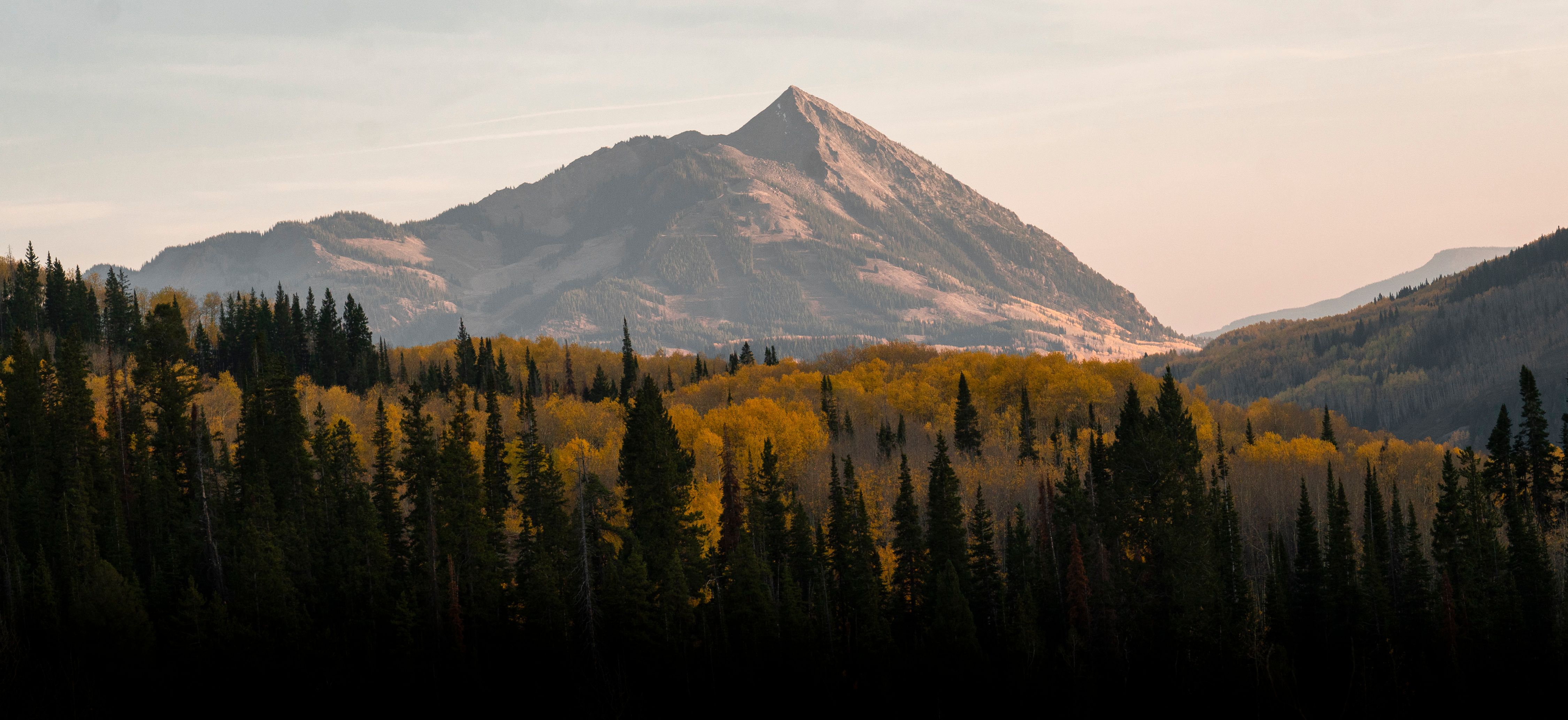 Trees on Mountain Area · Free Stock Photo