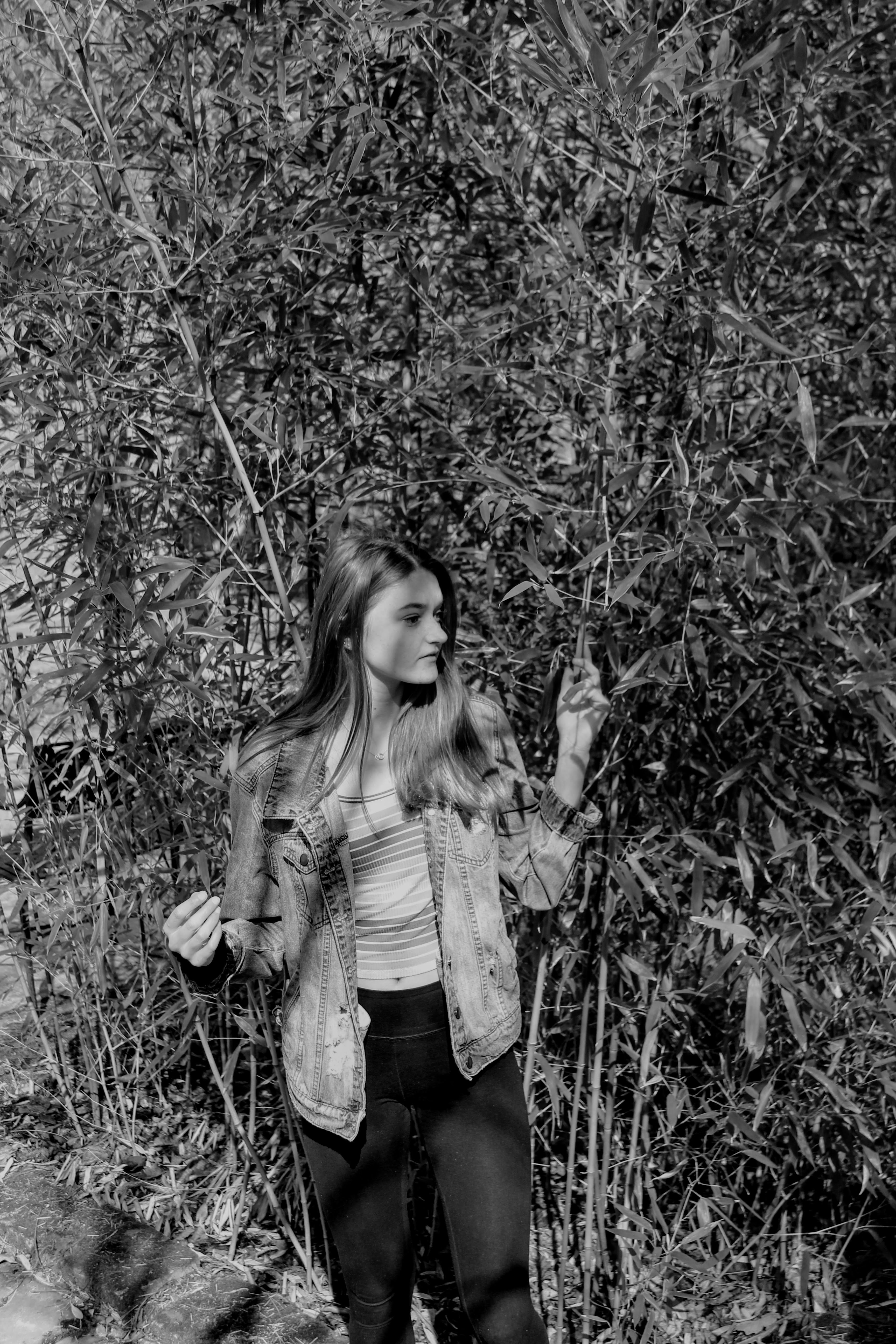 portraits 79 Photos & Videos Collected by Grace Earley
