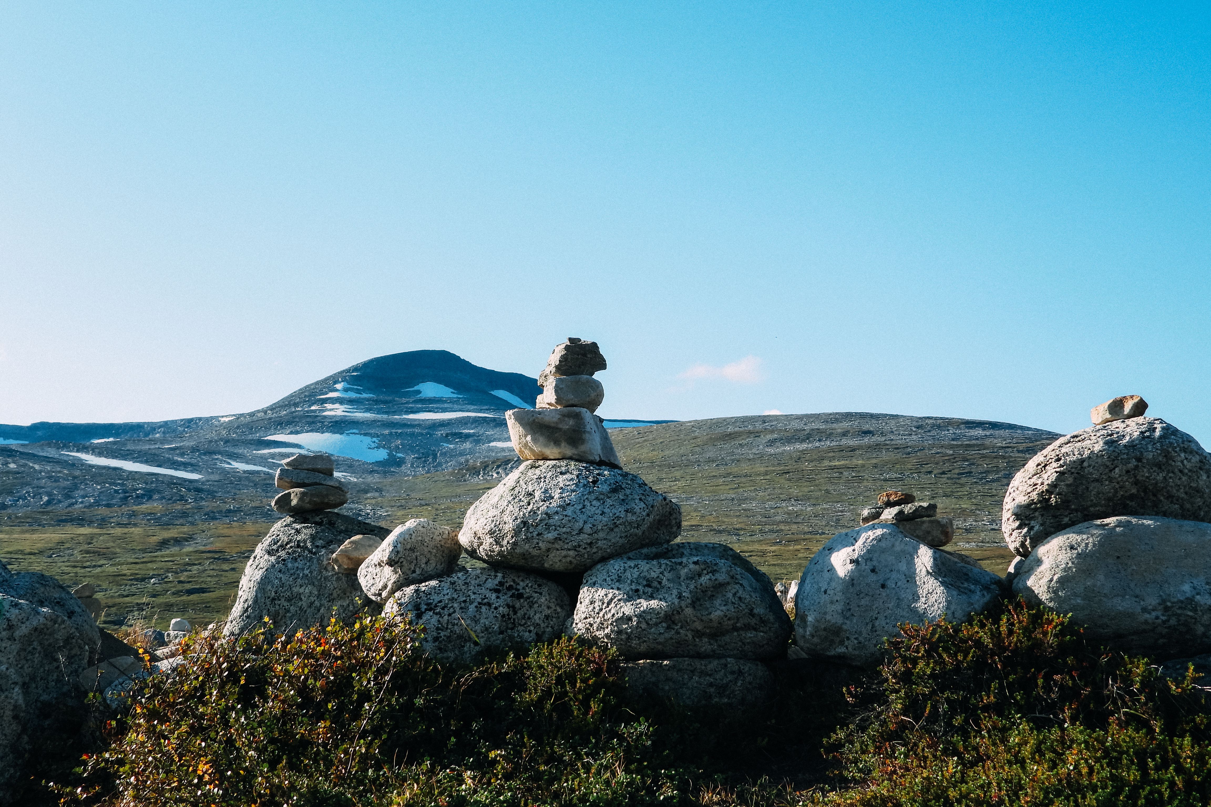 Arid terrain with dry greenery in highland · Free Stock Photo