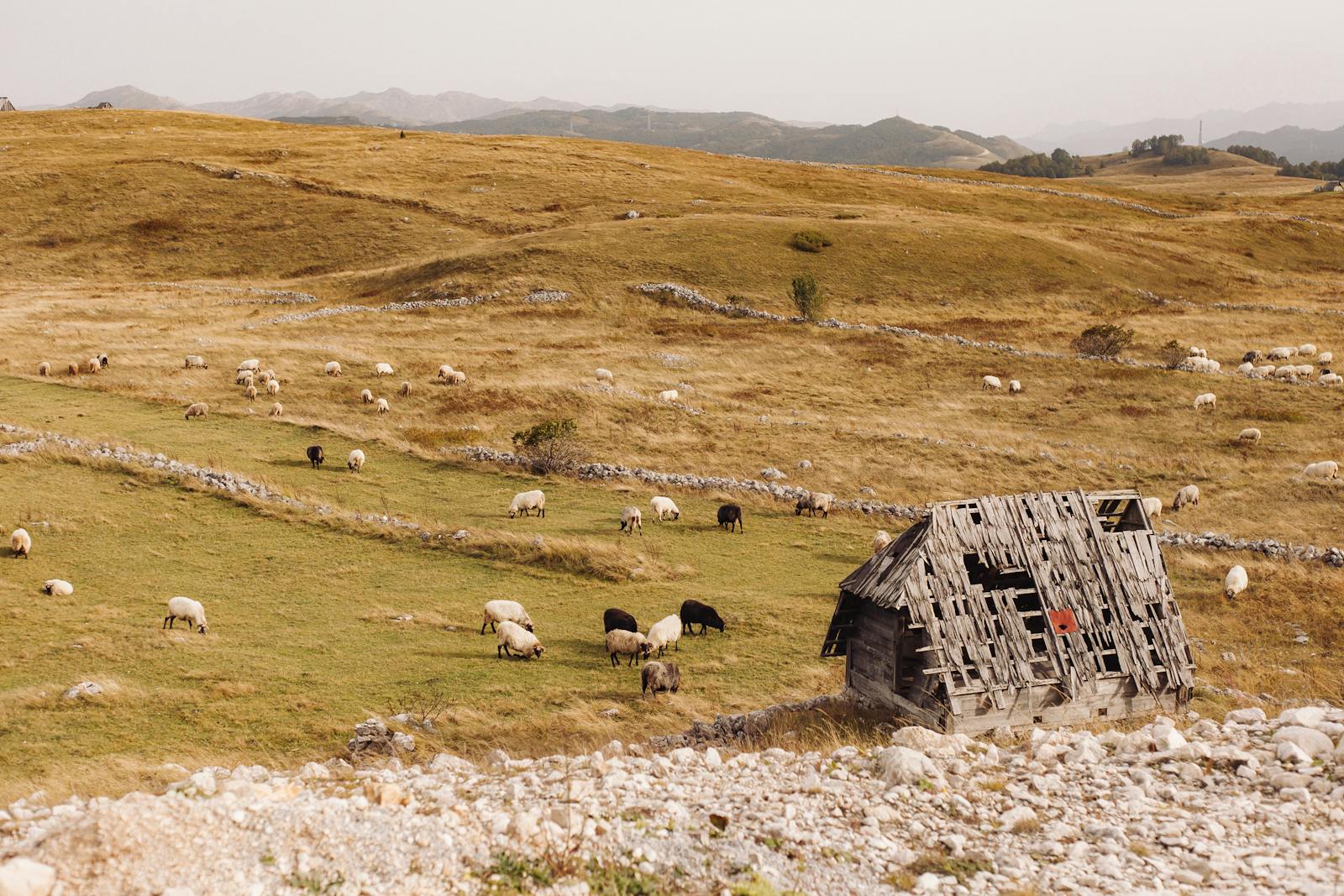 Old Barn Photos, Download The BEST Free Old Barn Stock Photos & HD Images
