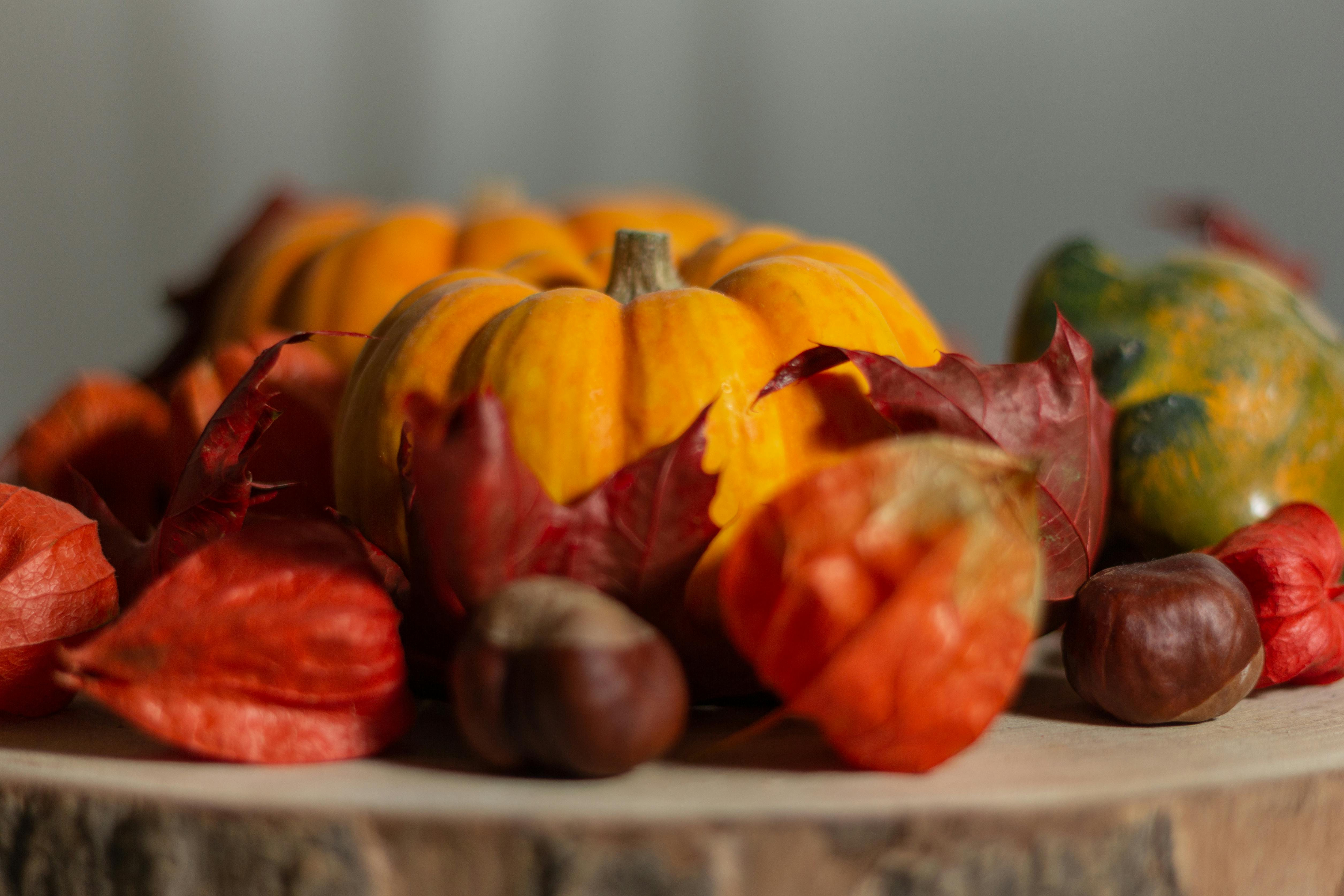 Chestnuts, Pumpkins and Autumn Leaves · Free Stock Photo