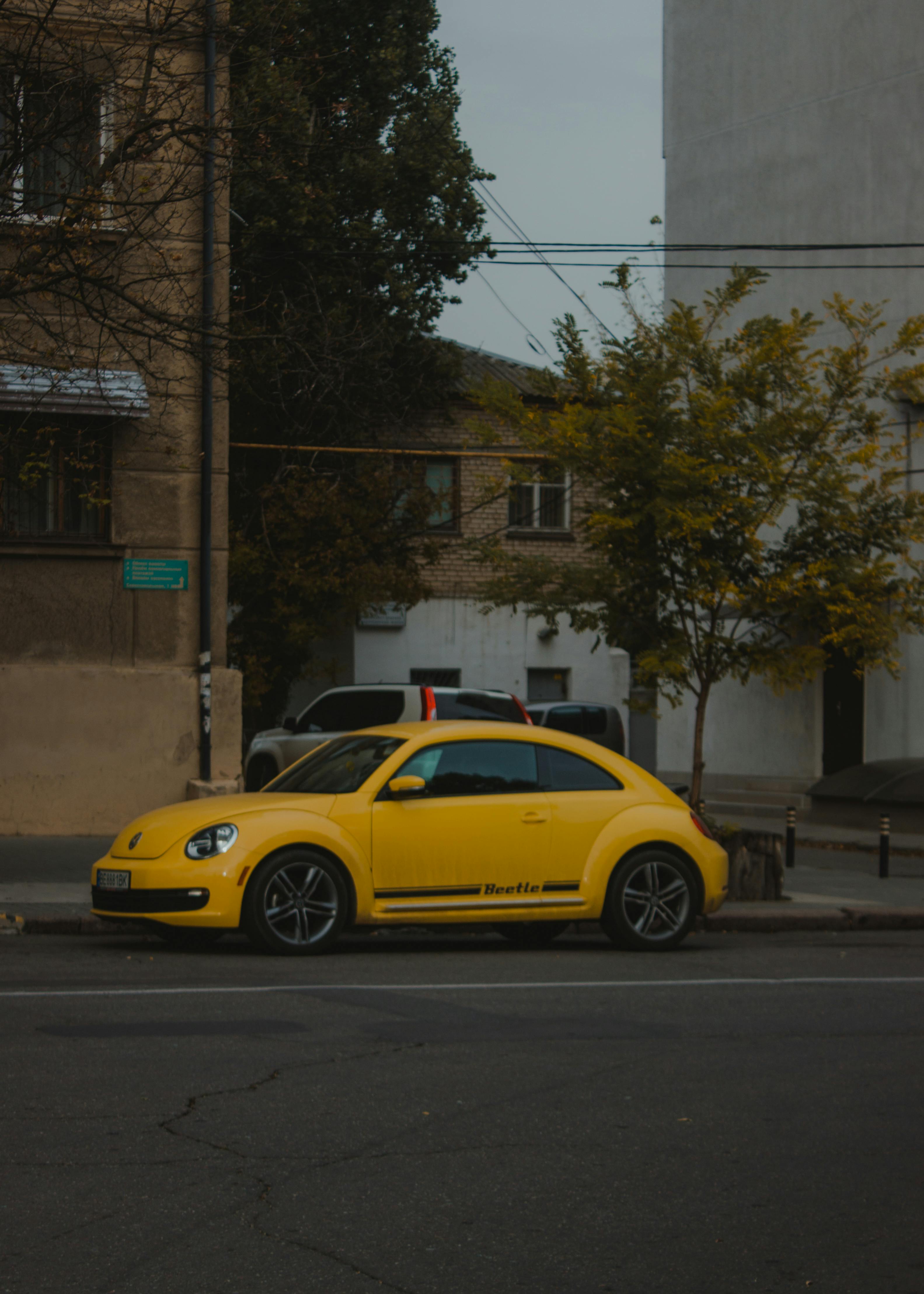 Beige Volkswagen Beetle · Free Stock Photo