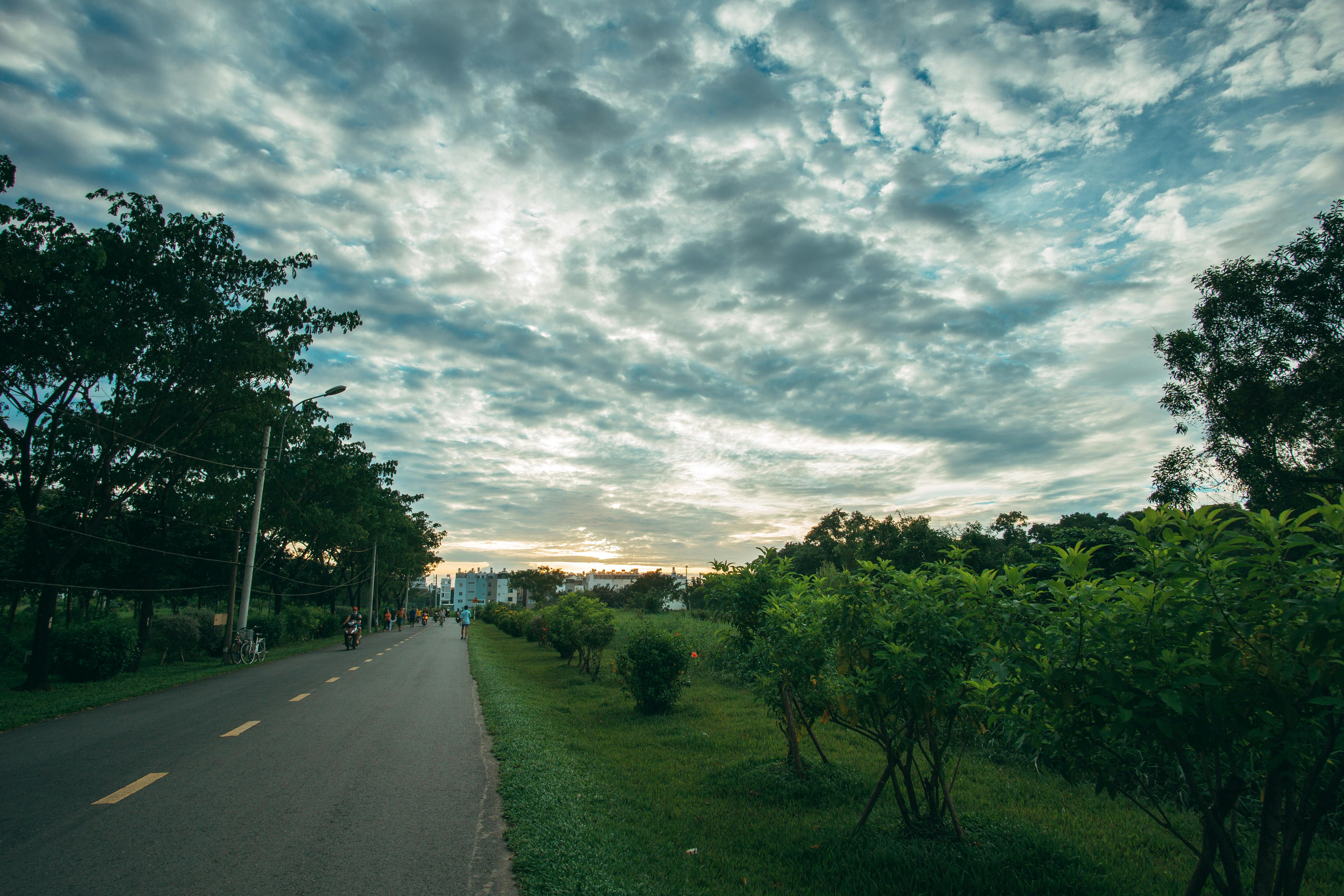 Brown Asphalt Road Beside Lake · Free Stock Photo