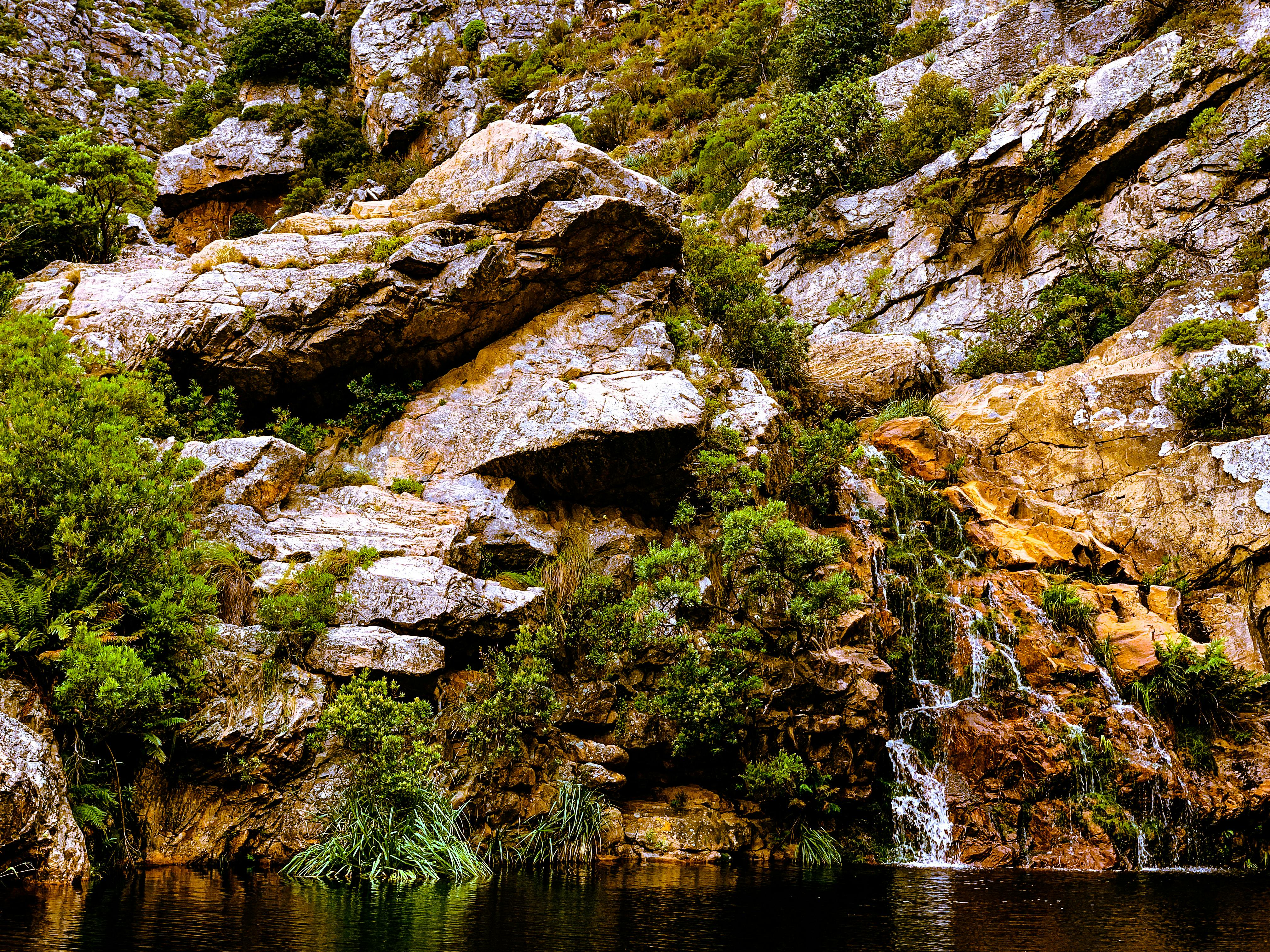 Photo of Rocks in the Forest · Free Stock Photo