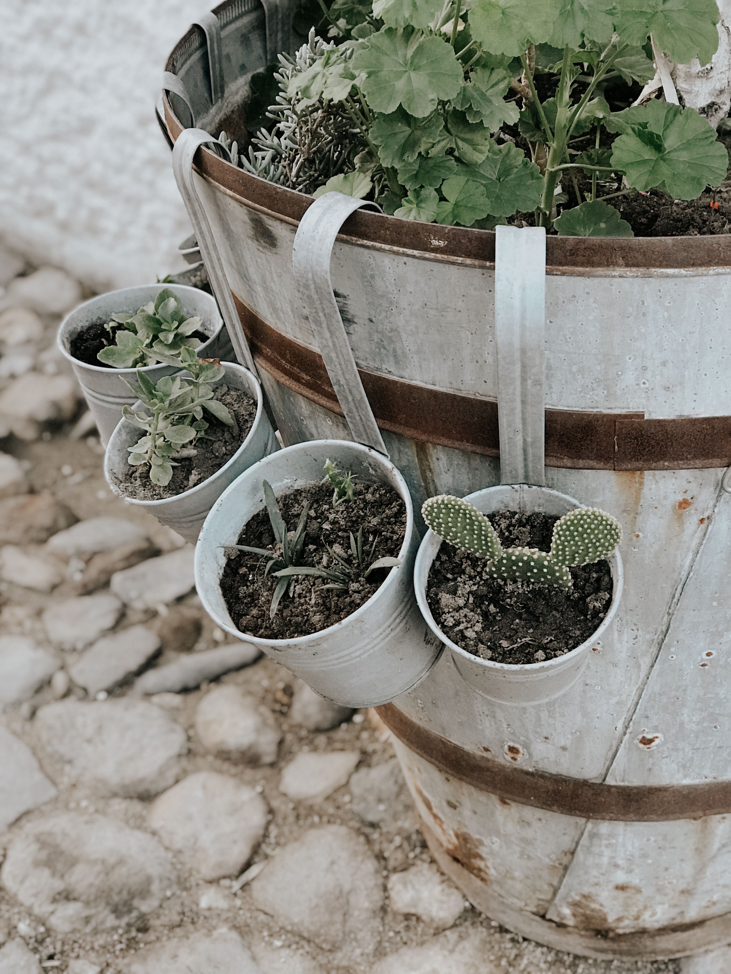 A Trinket Hanging on a Plant · Free Stock Photo