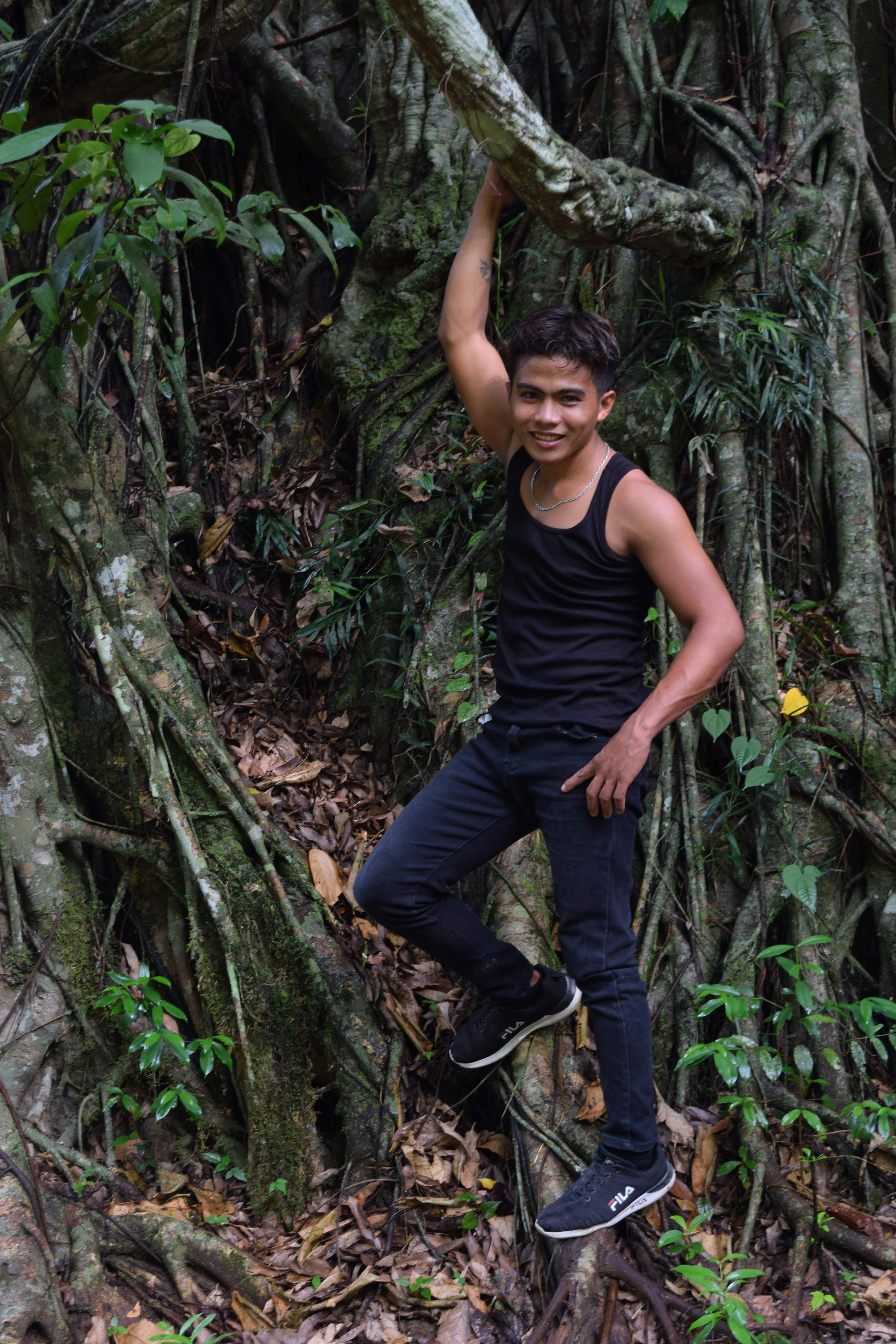 Person on Wooden Bridge Surrounded By Trees · Free Stock Photo