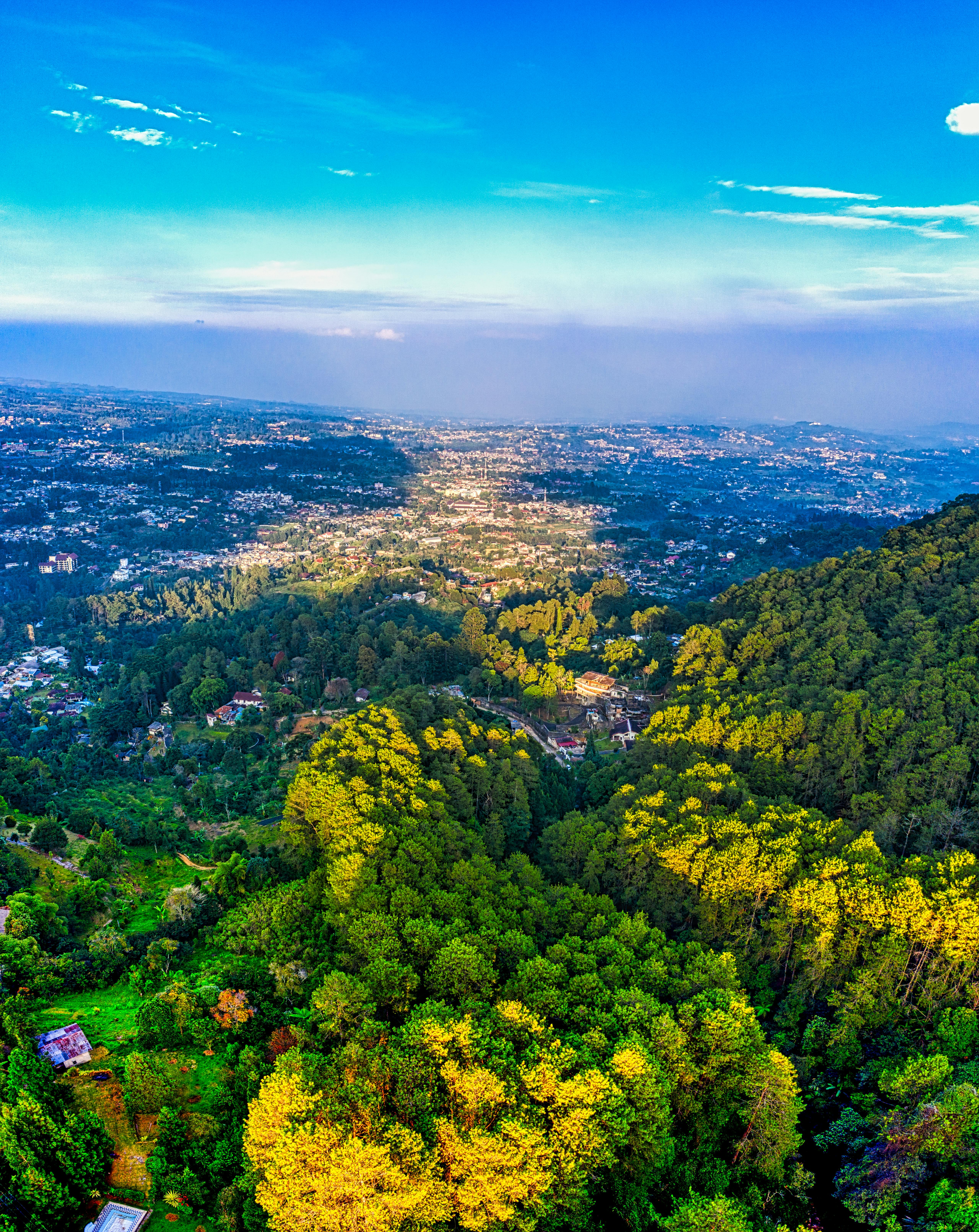 Picturesque view of hillside with lush green trees · Free Stock Photo