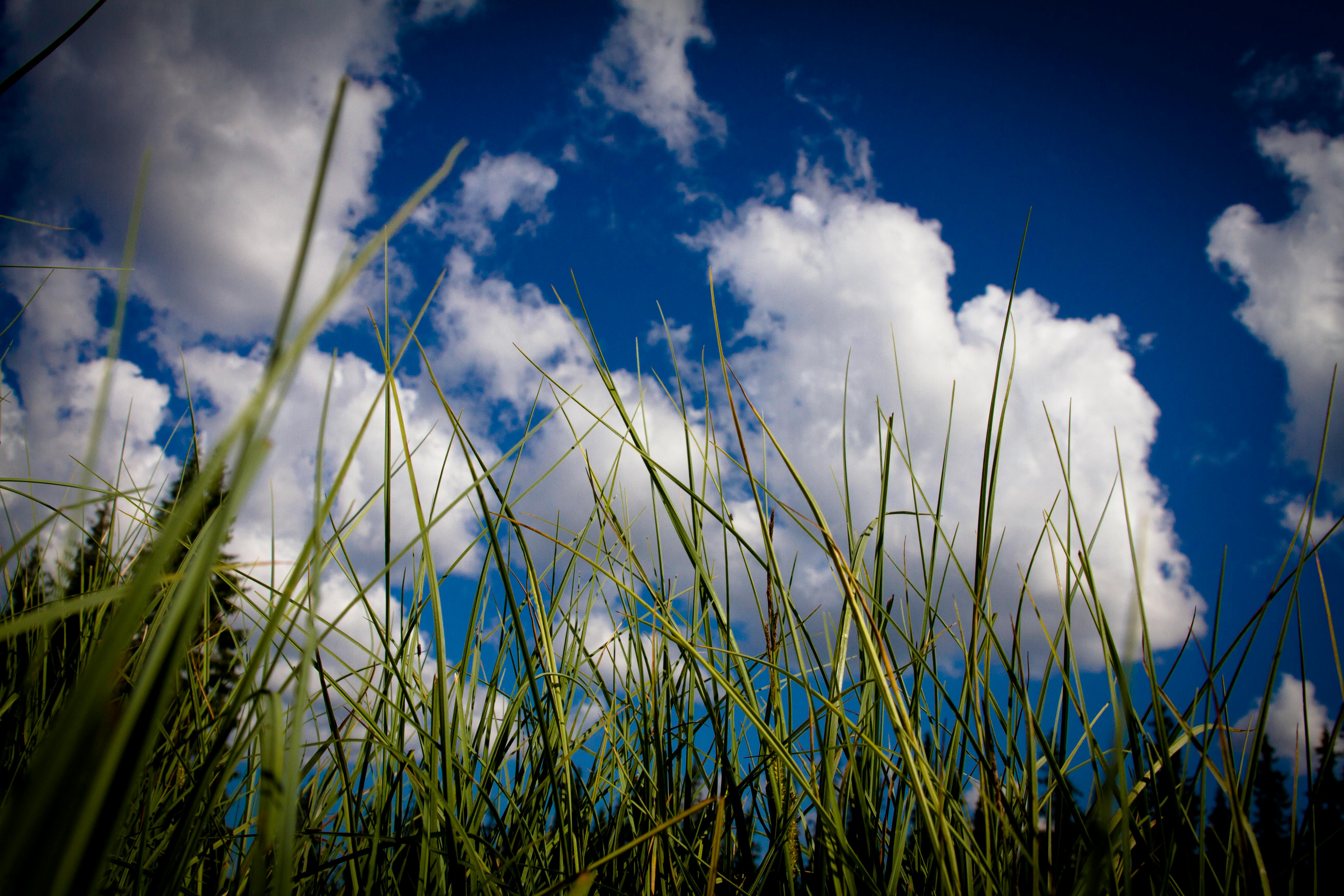 Clouds Landscapes With Grass