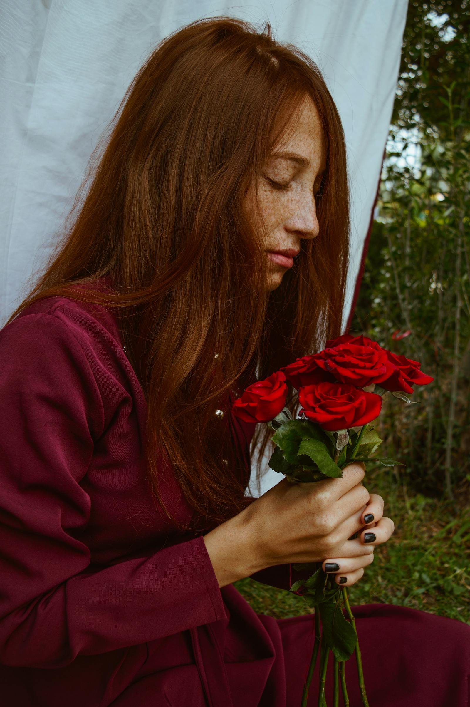 100,000+ Best Red Roses Photos · 100% Free Download · Pexels Stock Photos