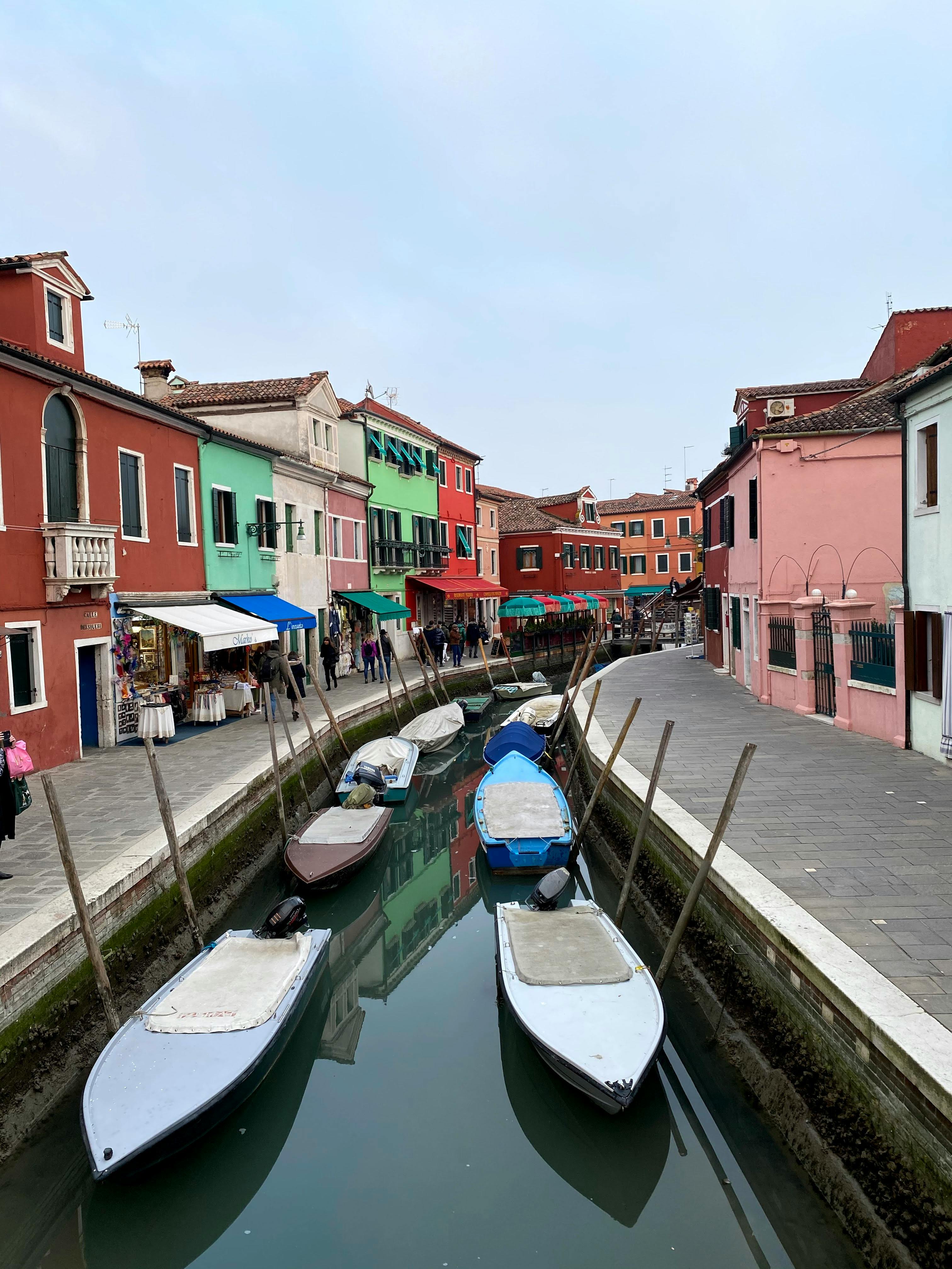 Amanda Collins - Fotografía