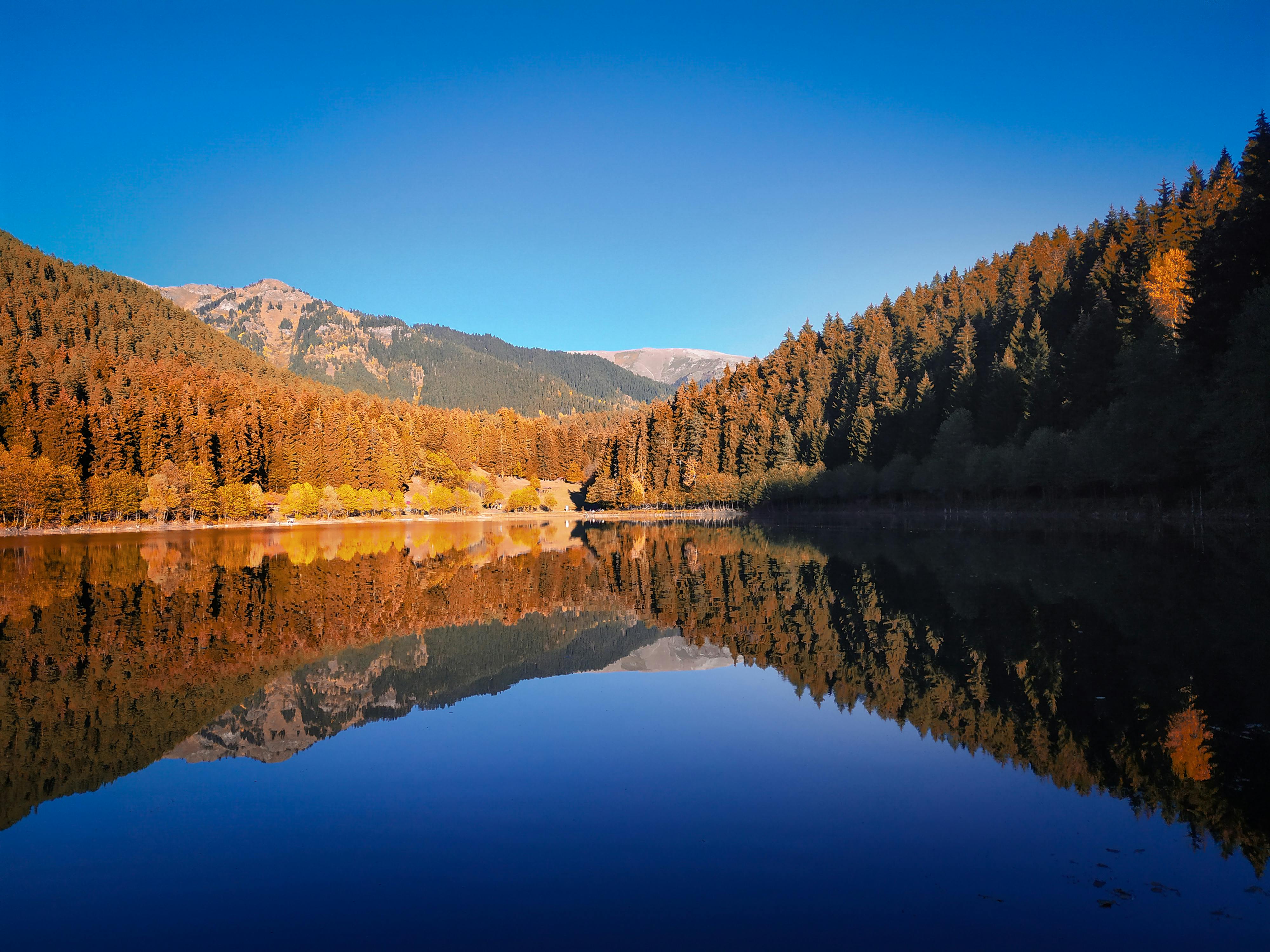 Trees Reflecting in a Still Mountain Lake · Free Stock Photo