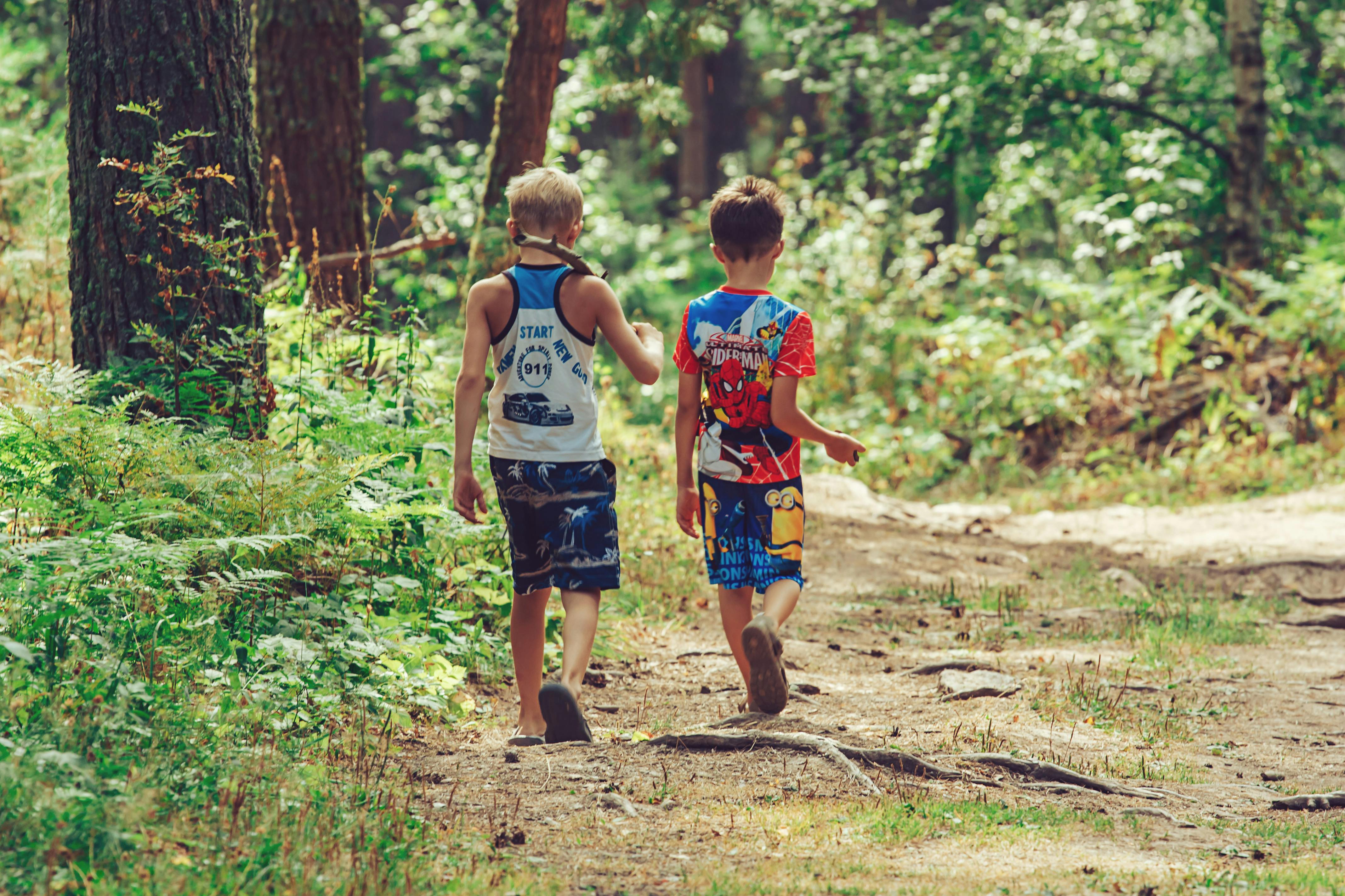 Boy Walking on Wooden Pathway Beside Plants during Day · Free Stock Photo
