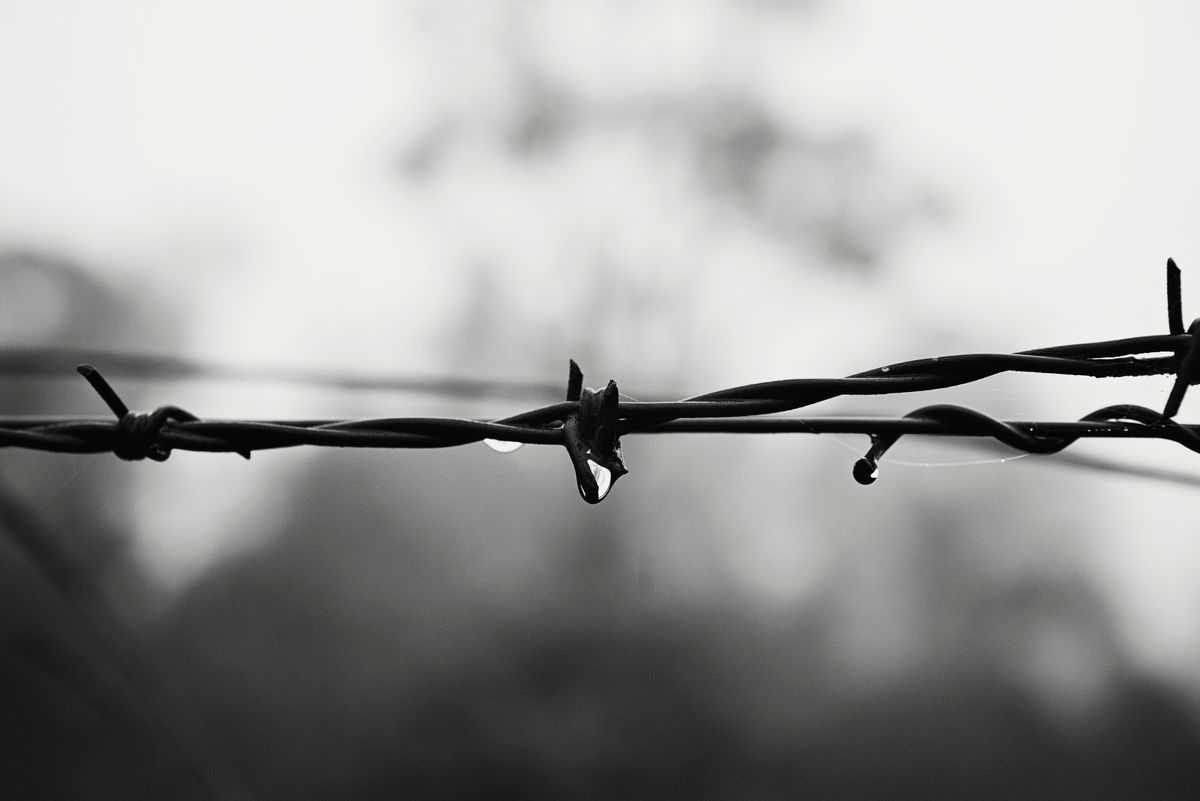 Barbed Wire Photos, Download The BEST Free Barbed Wire Stock Photos ...