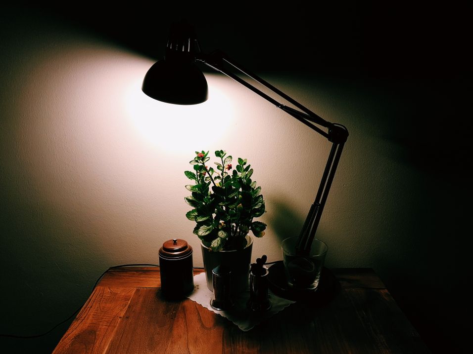 Expert Guide to Lamp Website Hosting for All Skill Levels