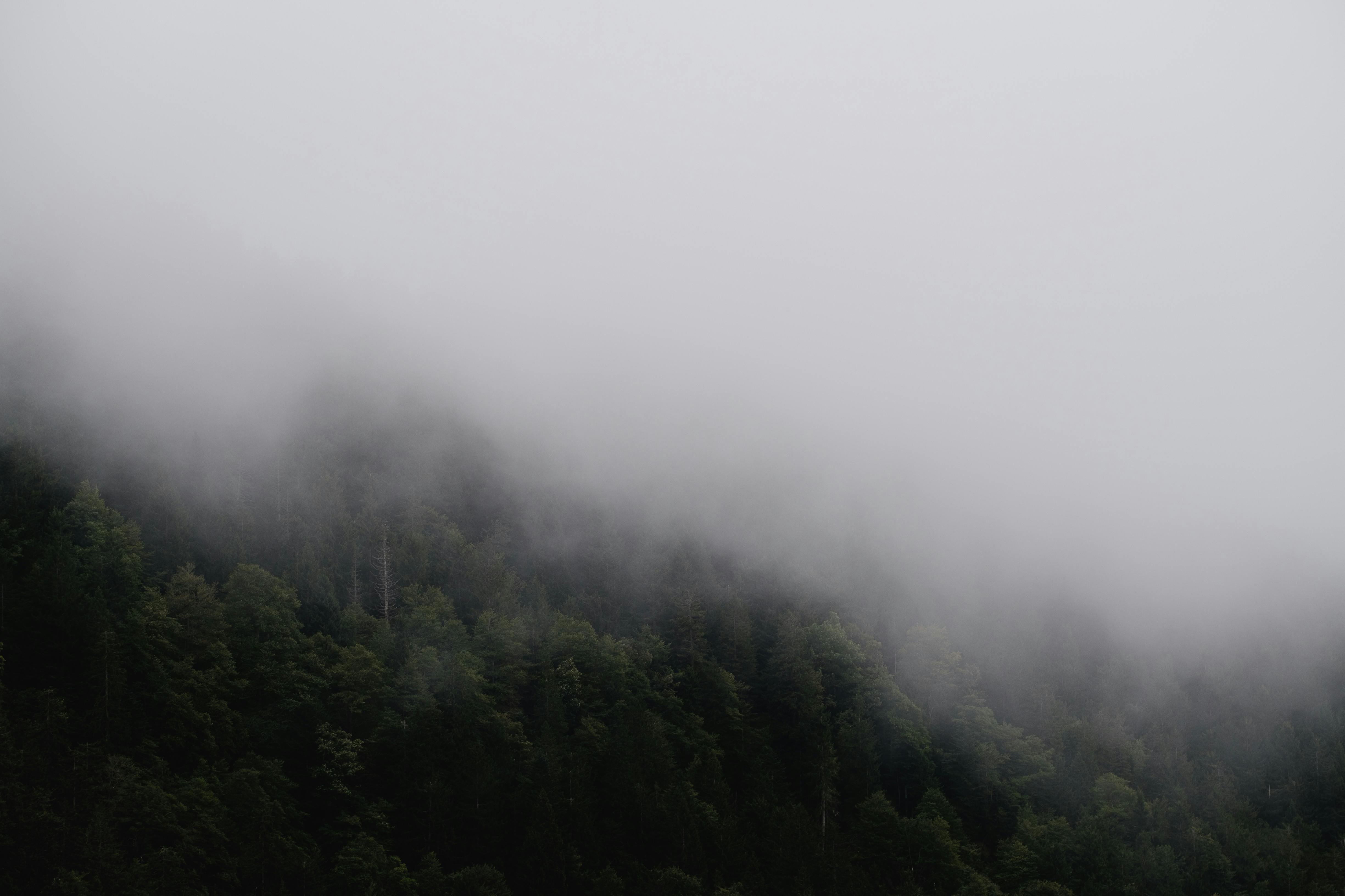 10+ Best Drizzle Photos · 100% Free Download · Pexels Stock Photos