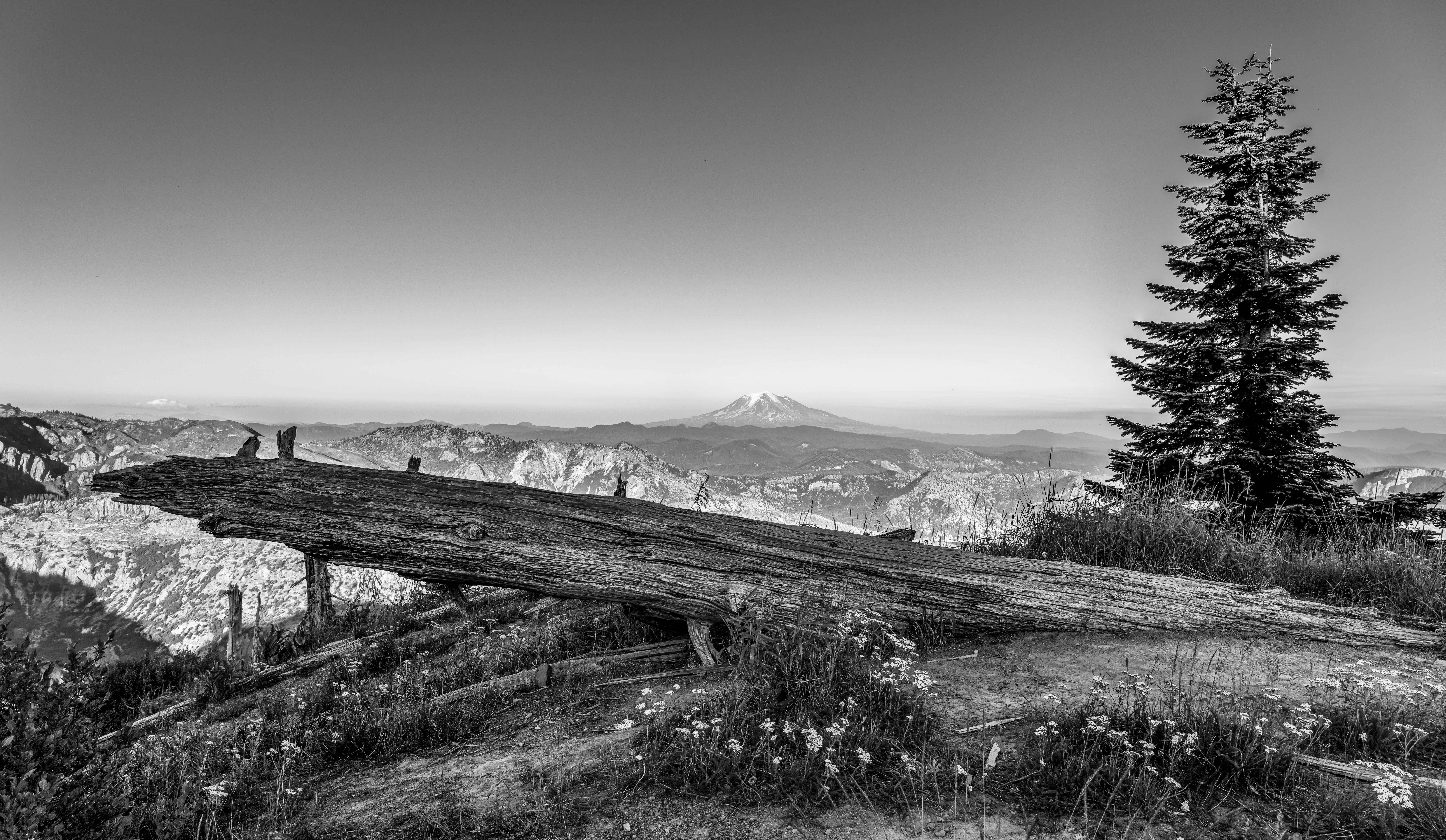 Grayscale Photo of Mountain · Free Stock Photo
