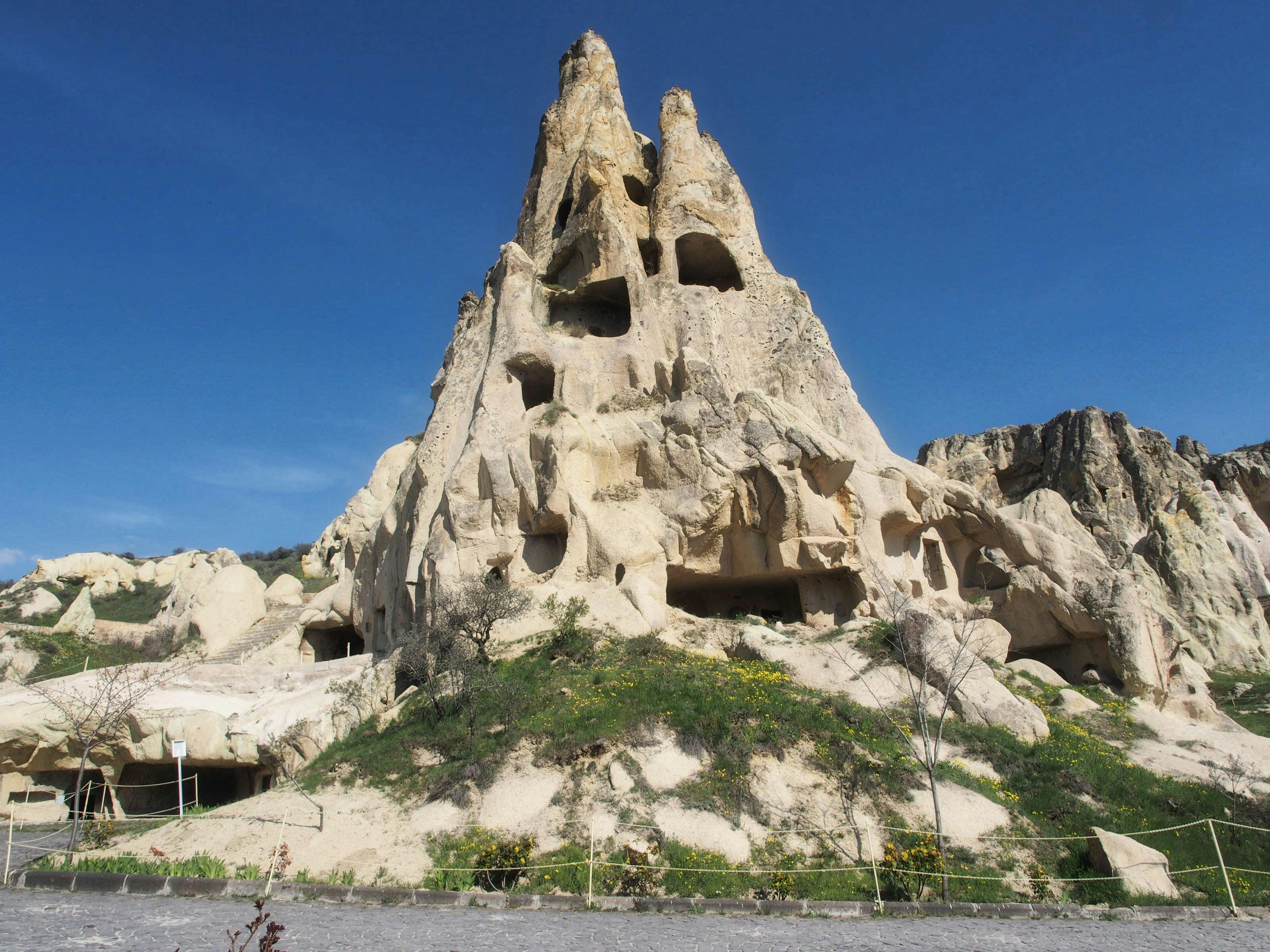 35,821+ Best Free Wild turkey Stock Photos & Images · 100% Royalty-Free ...