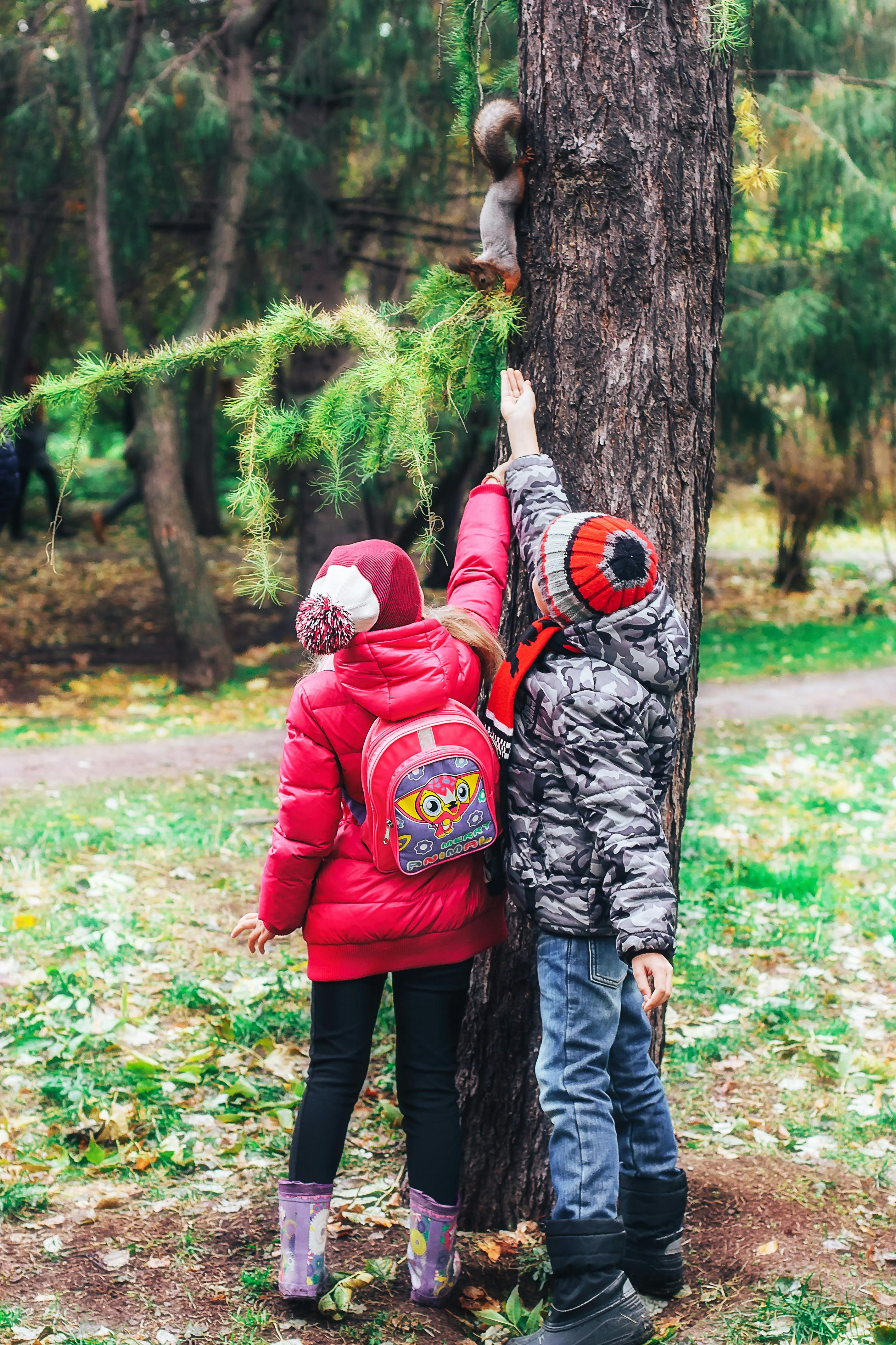 Squirrel Back Photos, Download The BEST Free Squirrel Back Stock Photos ...