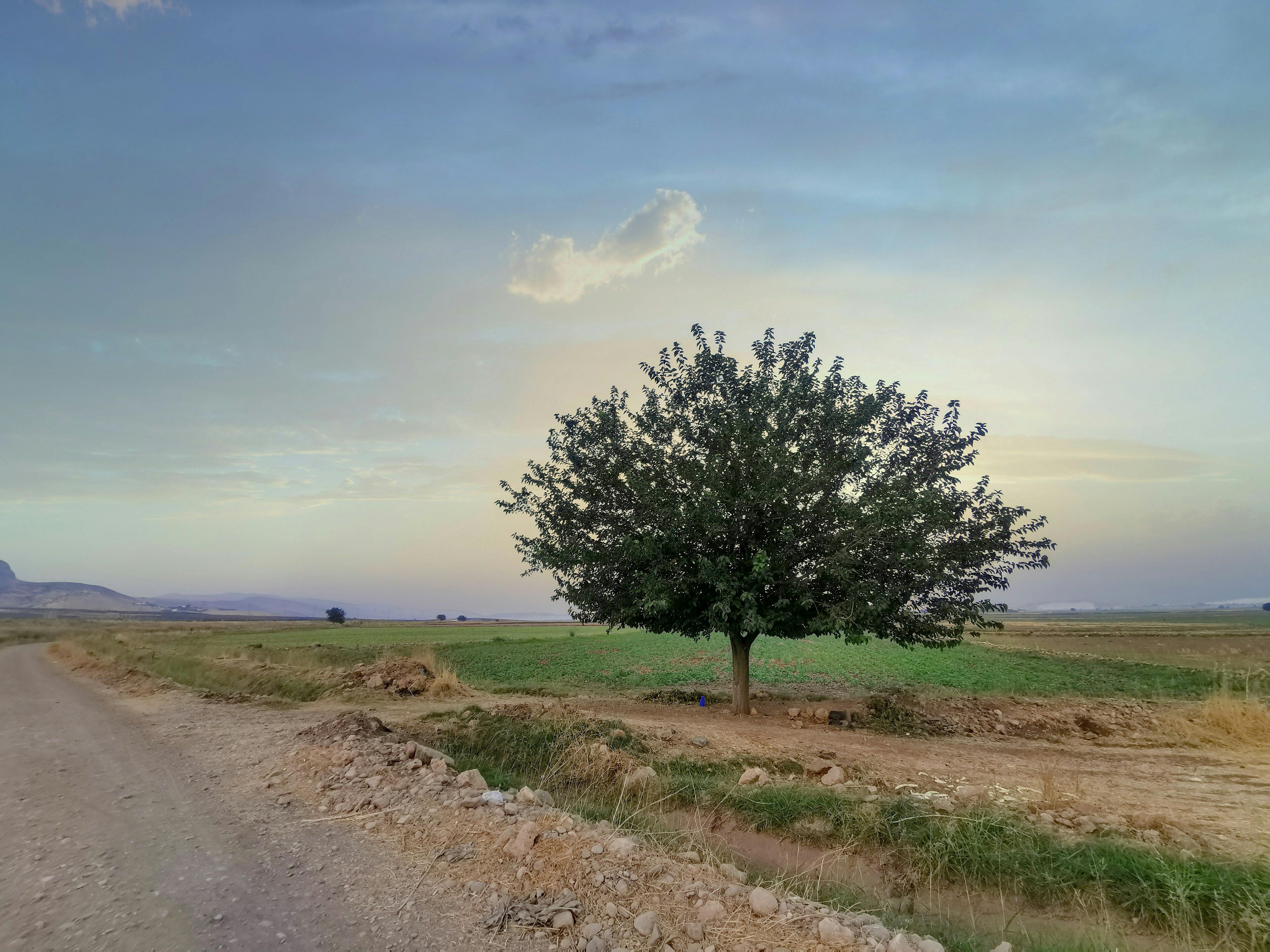 Terrain Place Photos, Download The BEST Free Terrain Place Stock Photos ...