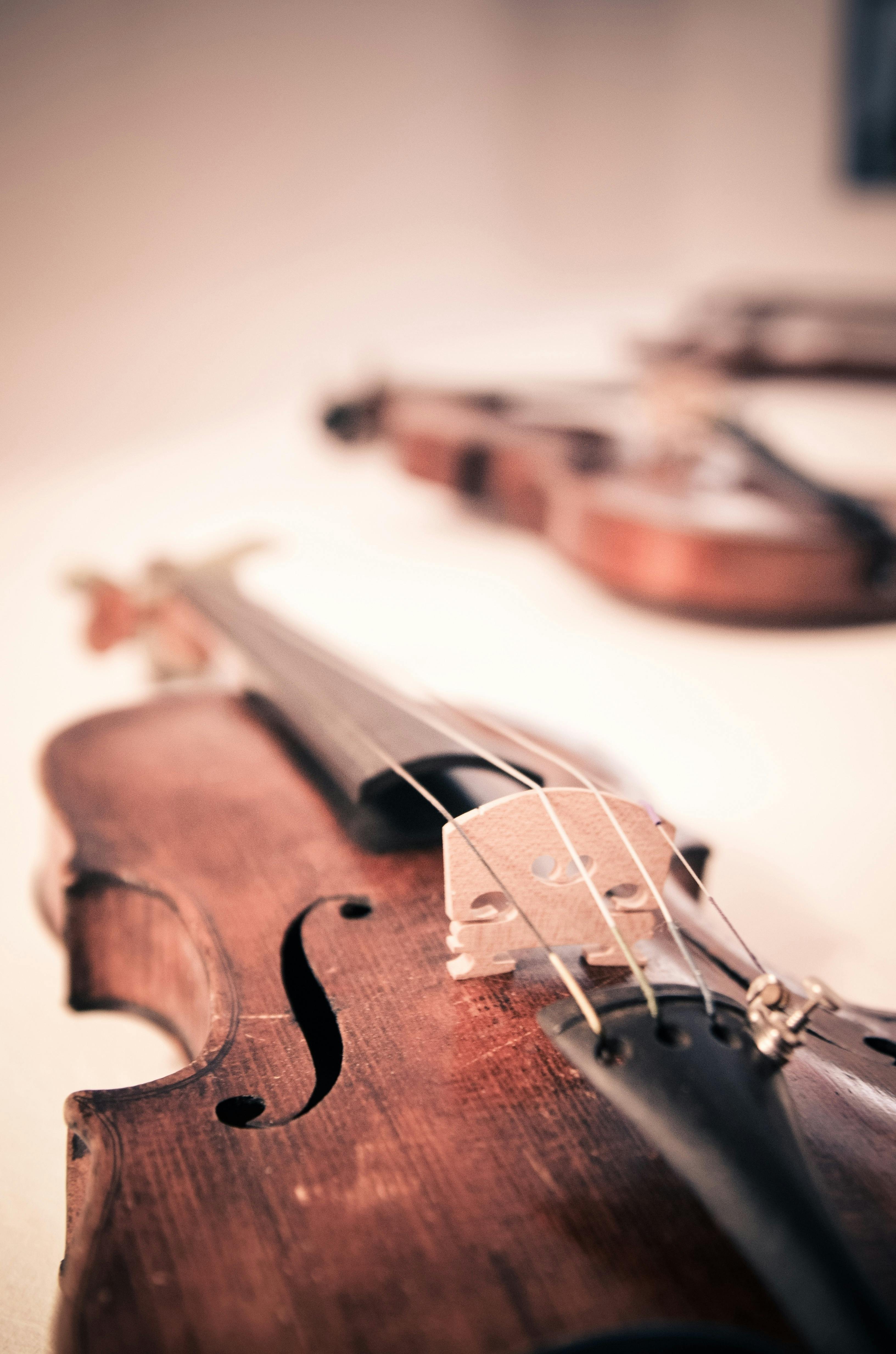 50+ Amazing Violin Photos · Pexels · Free Stock Photos