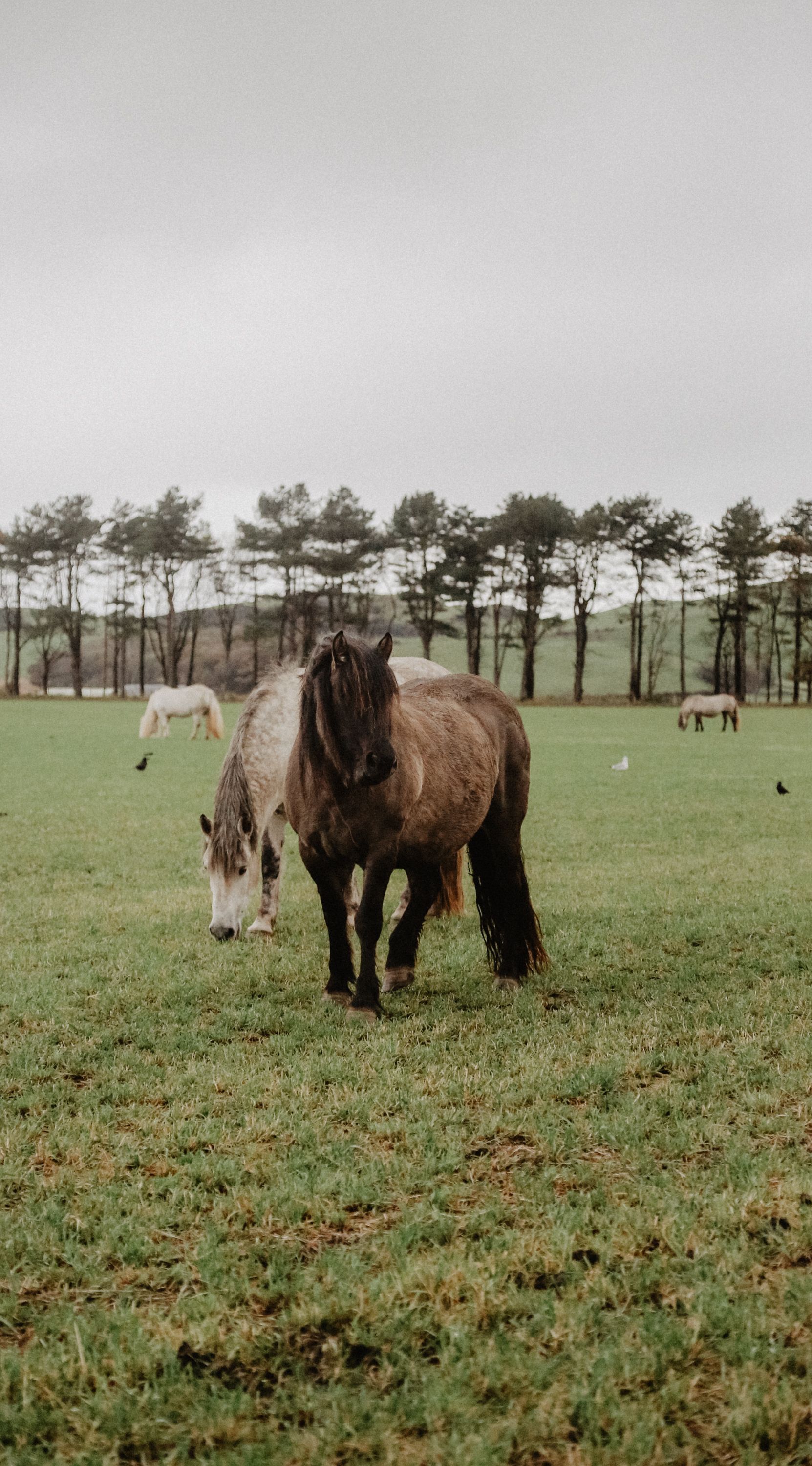 41,430+ Best Free British countryside Stock Photos & Images · 100% ...