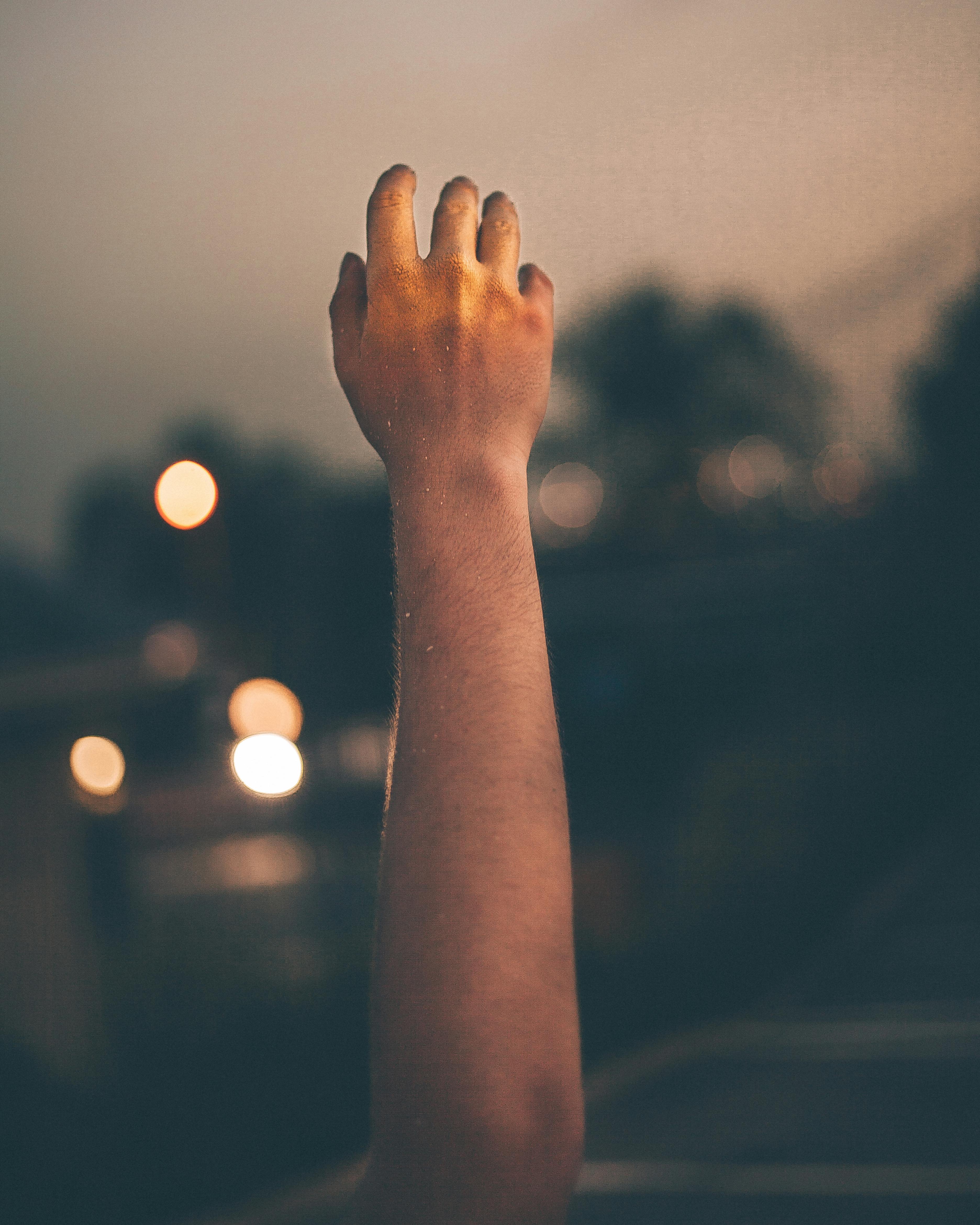 Selective Focus Photography of Right Human Hand · Free Stock Photo