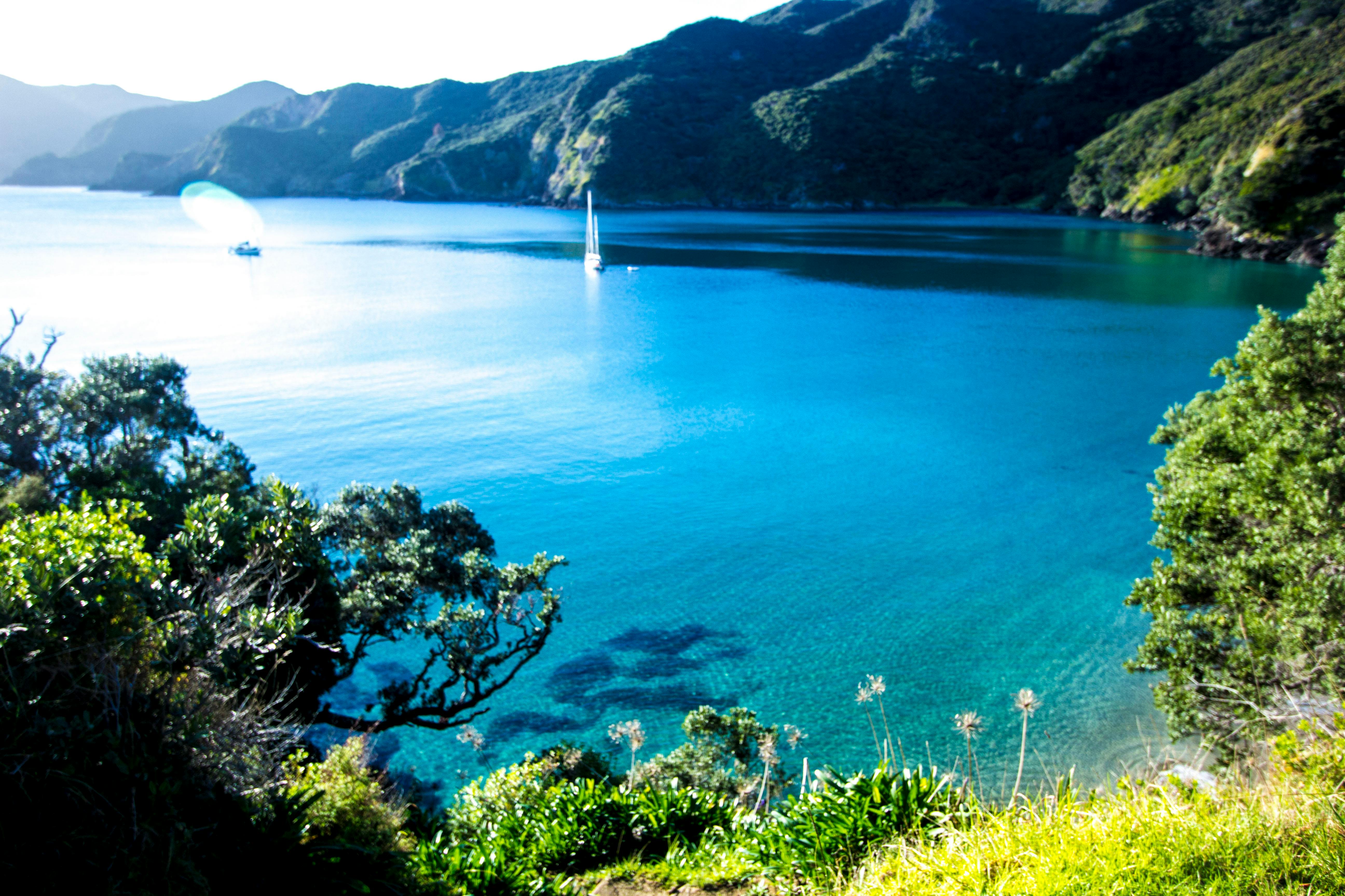 Sarah Howell - Photography