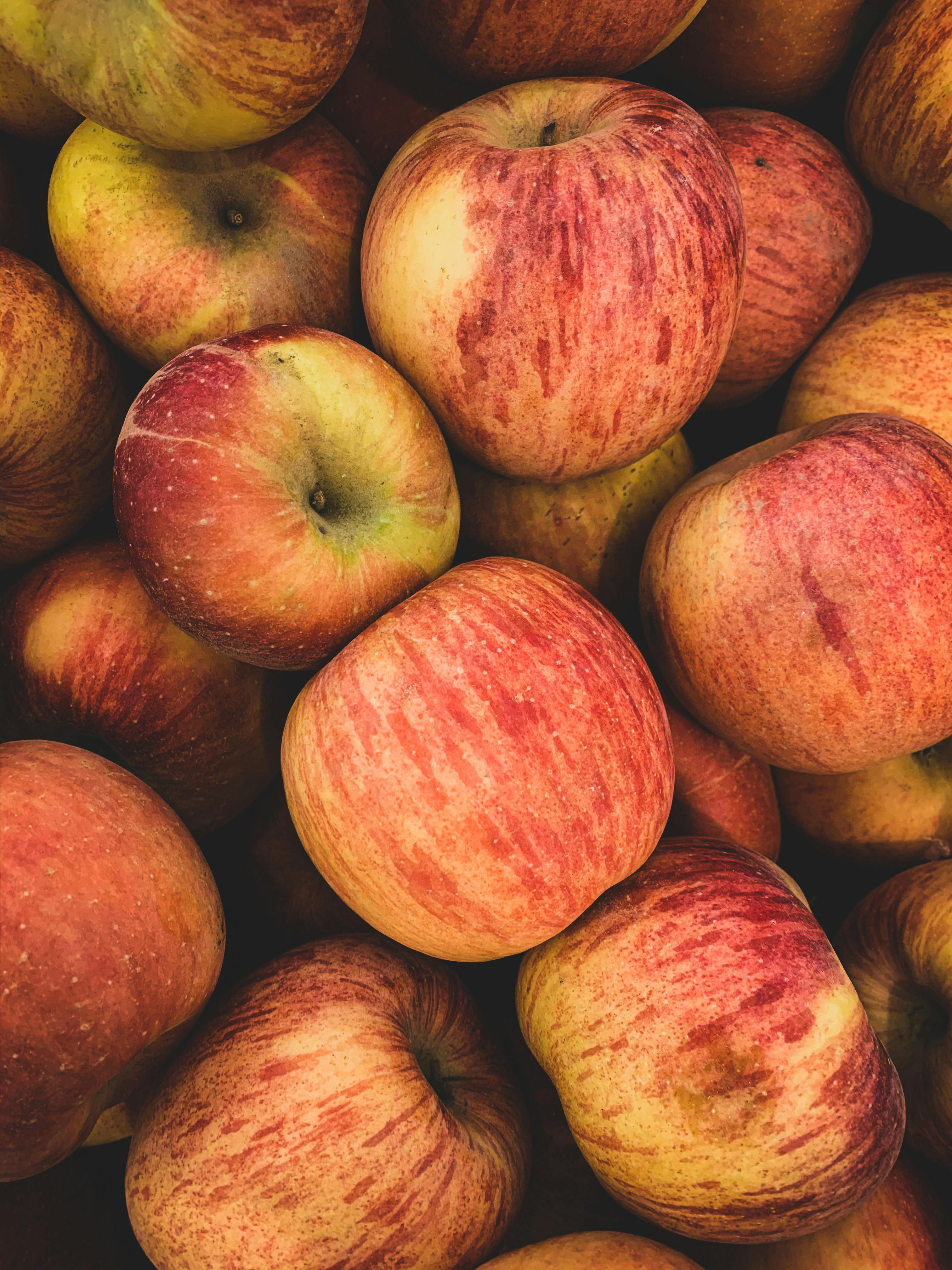 Close-up of a Bunch of Apples · Free Stock Photo
