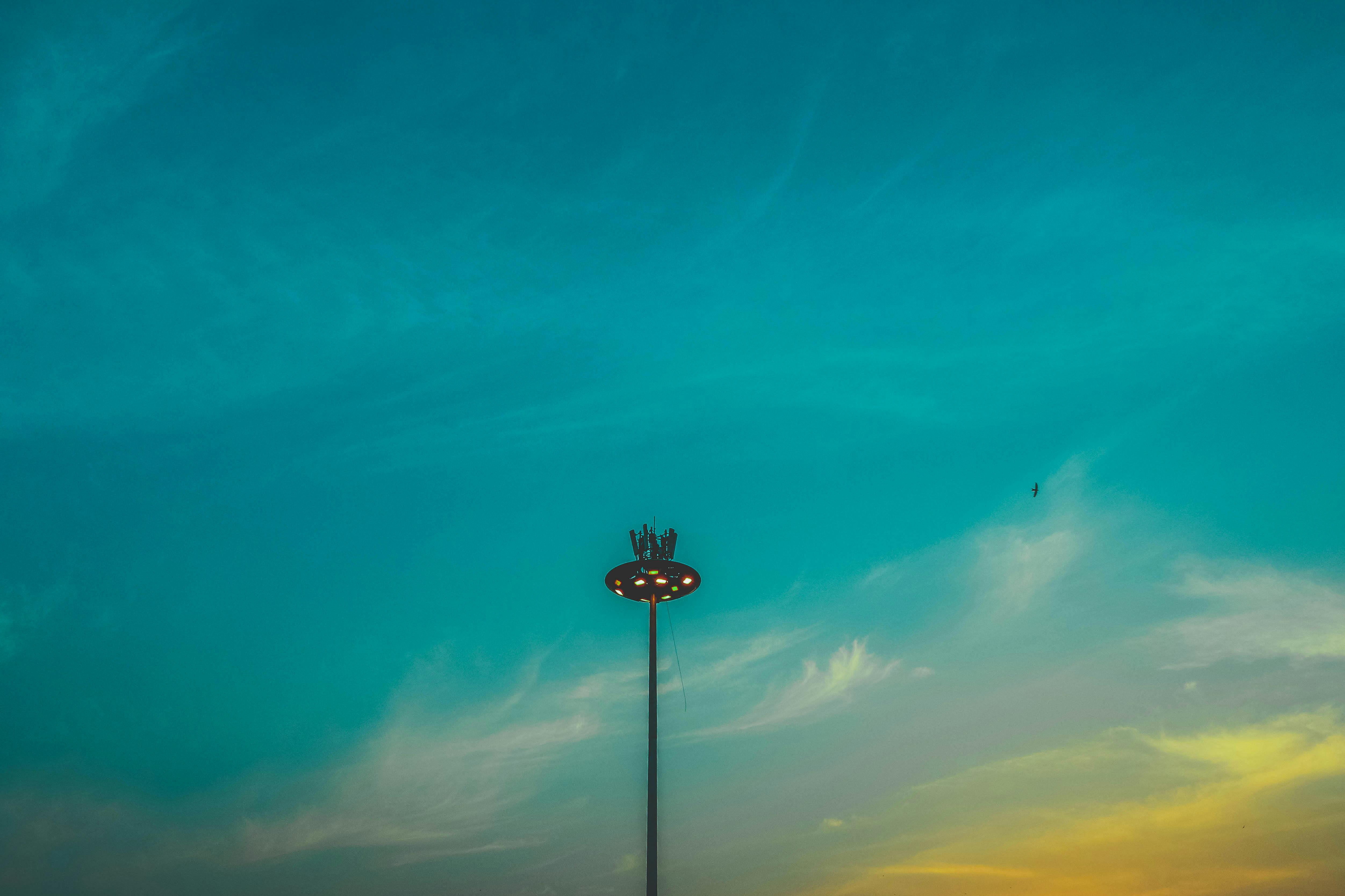 Selective Focus Photography of Man Facing Computer · Free Stock Photo