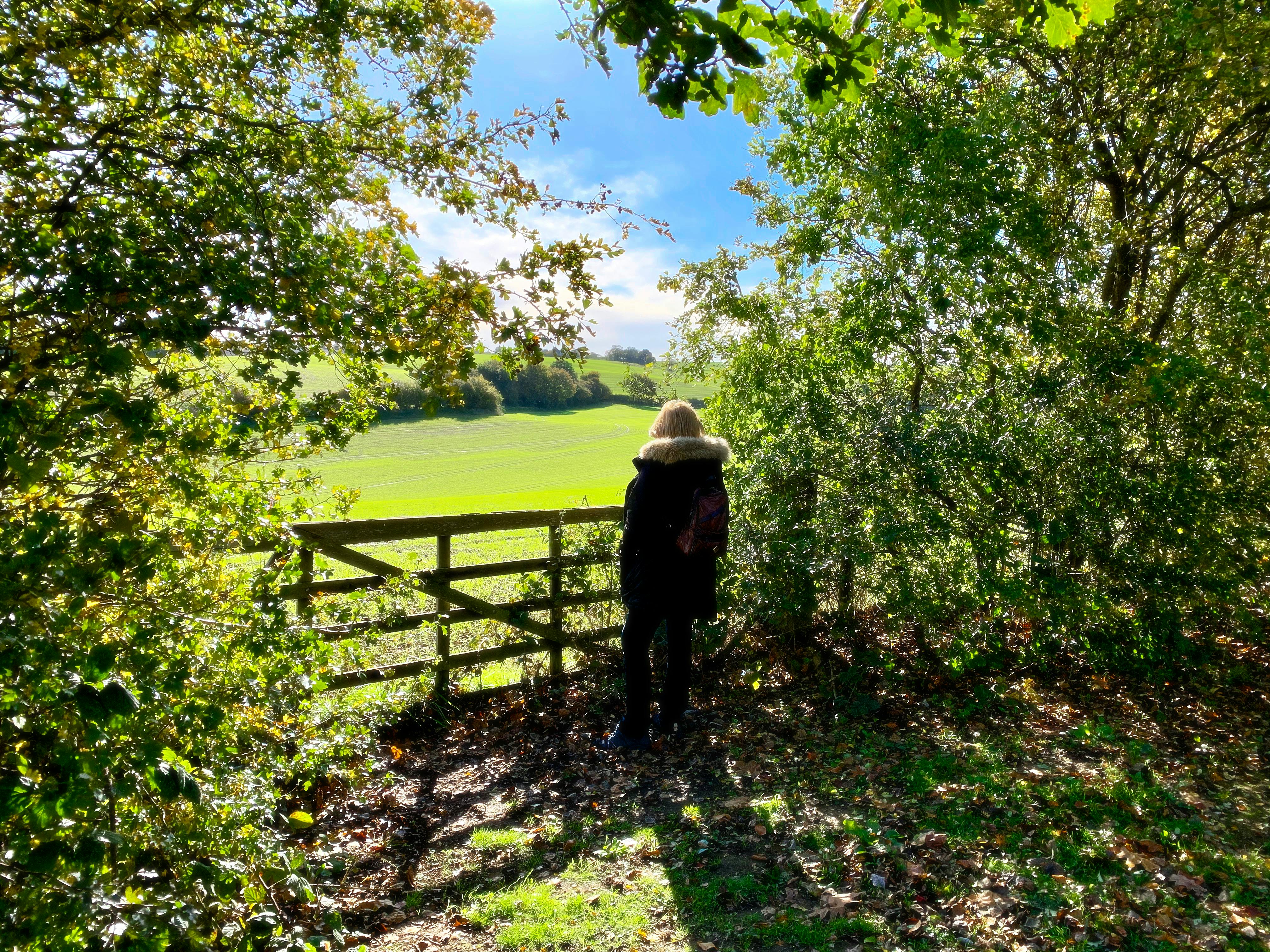Woman Standing Between Trees · Free Stock Photo