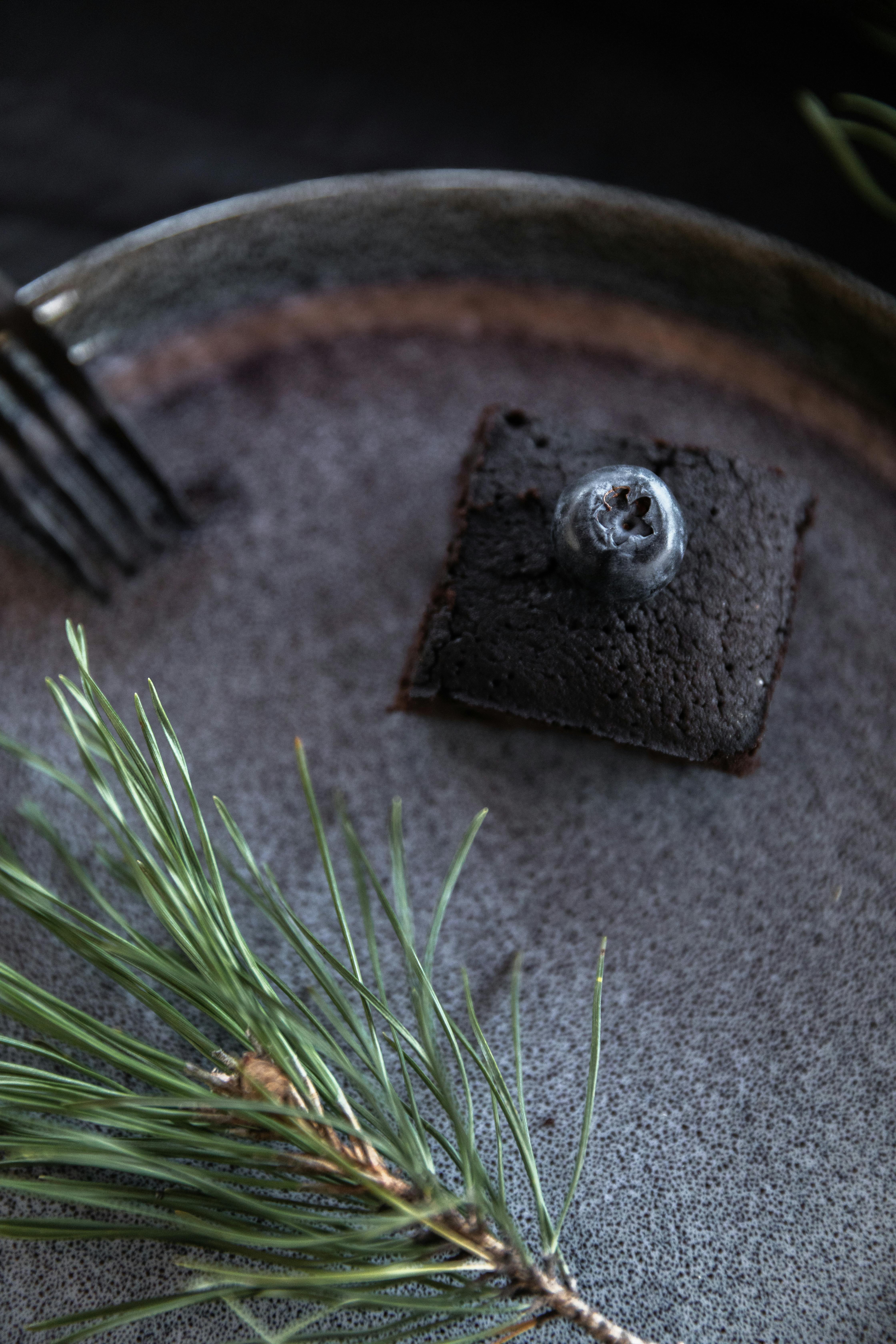 Close Up of Gourmet Chocolate Dessert Decorated with Pine Tree Twig ...