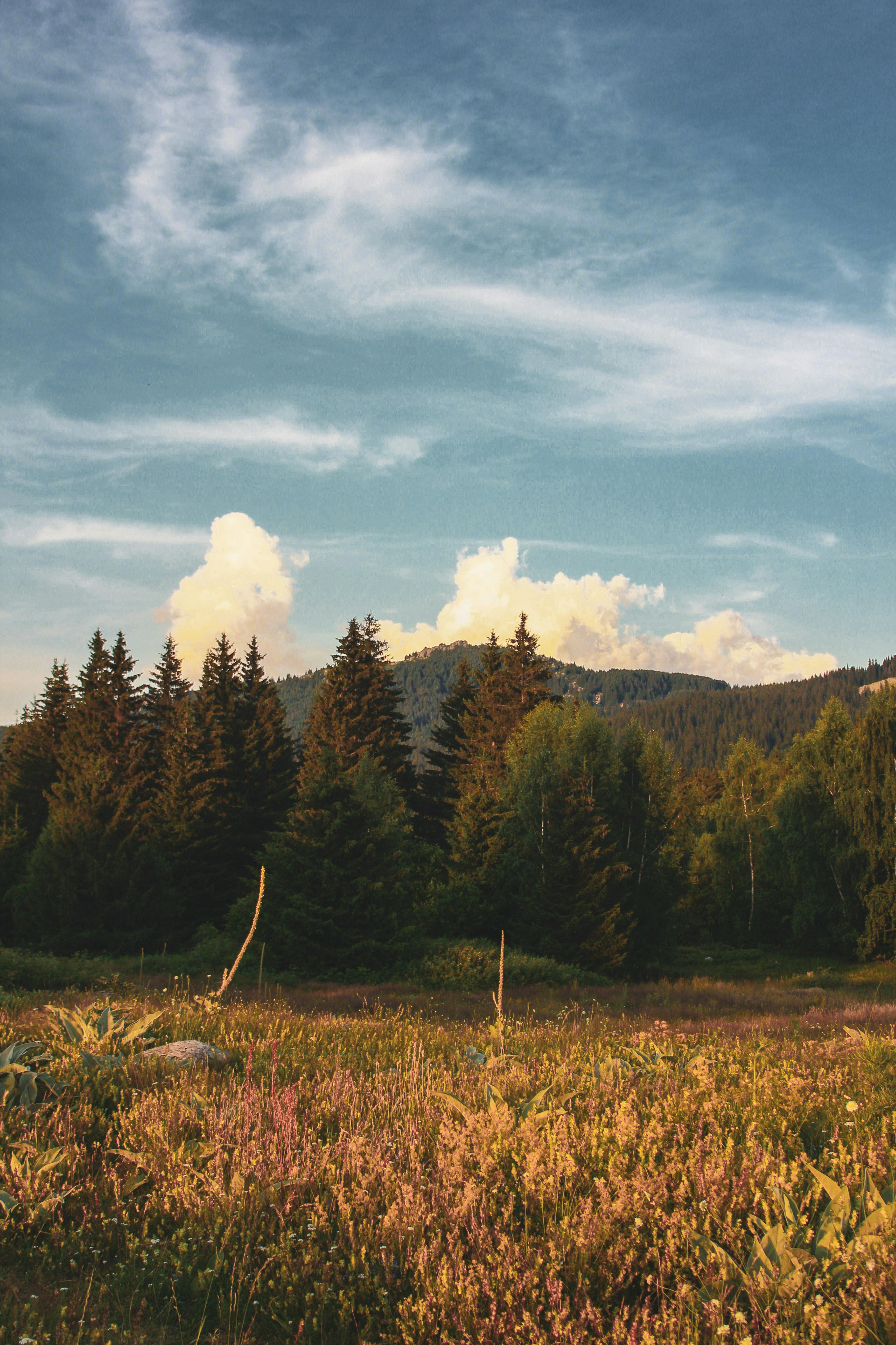 Green Grass Covered Mountain · Free Stock Photo Green Grass Covered Mountain · Free Stock Photo