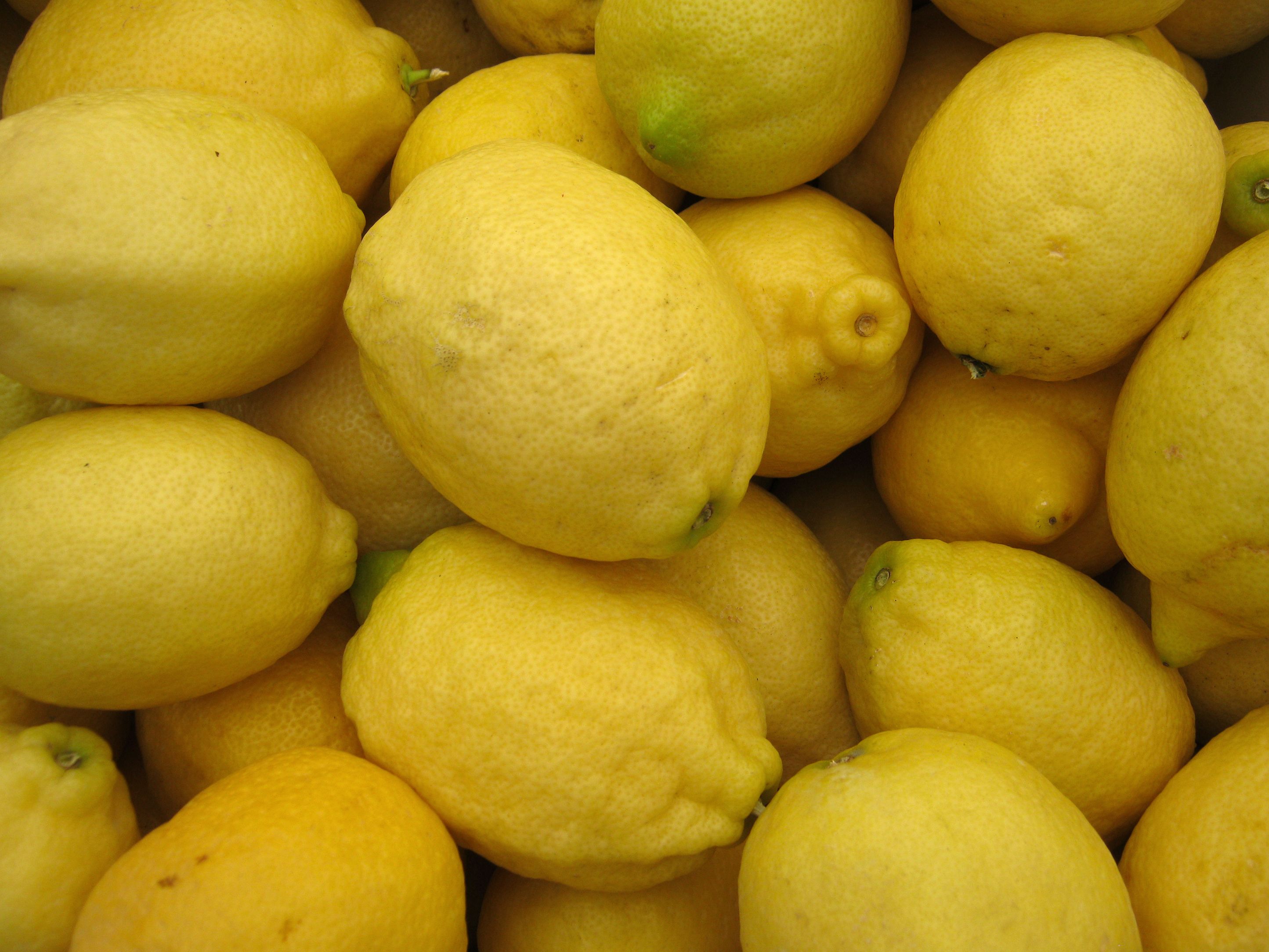 Citrus Close Up Photos, Download Free Citrus Close Up Stock Photos & HD ...