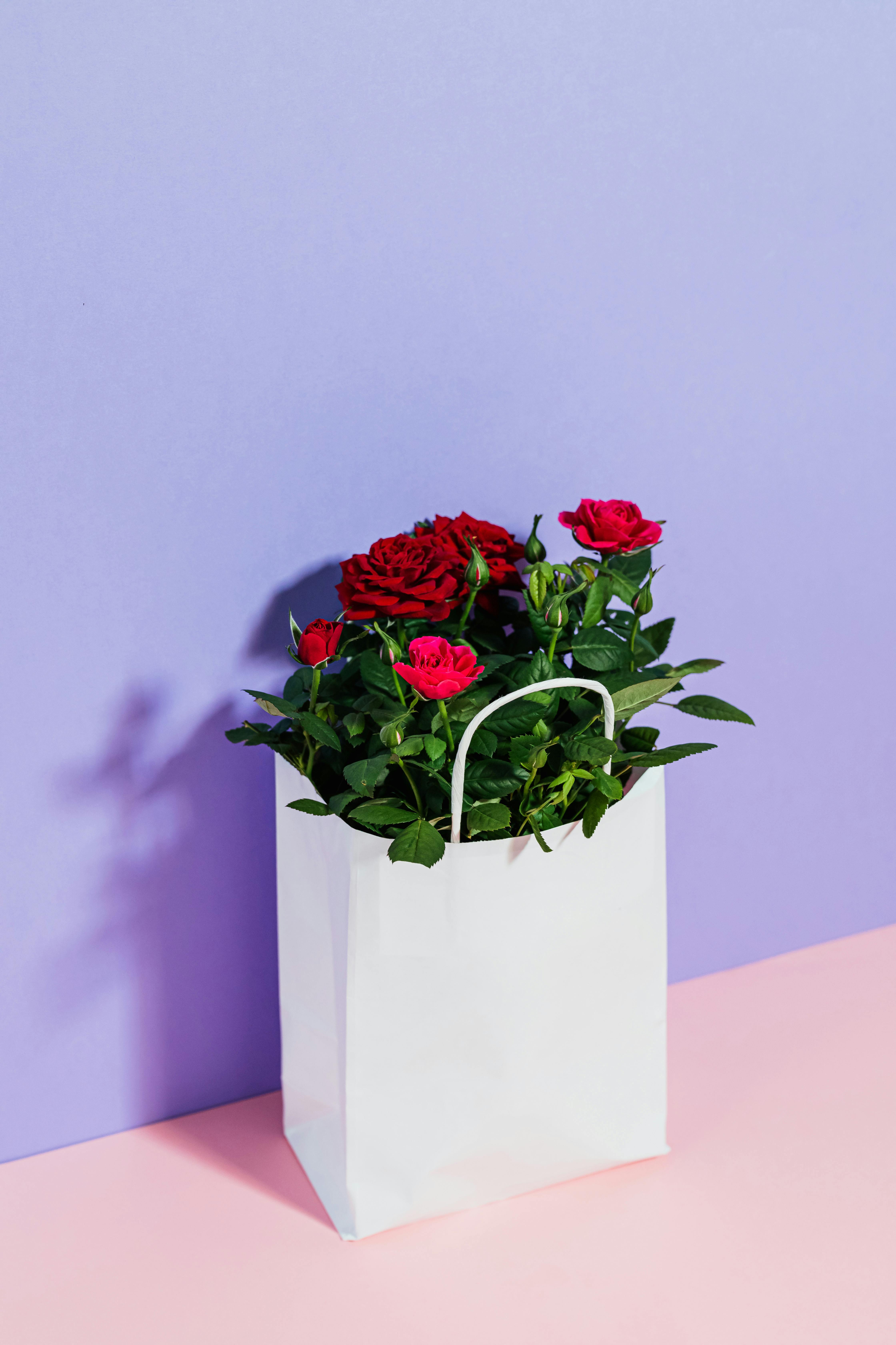Bunch of Red Roses in a Shopping Bag · Free Stock Photo