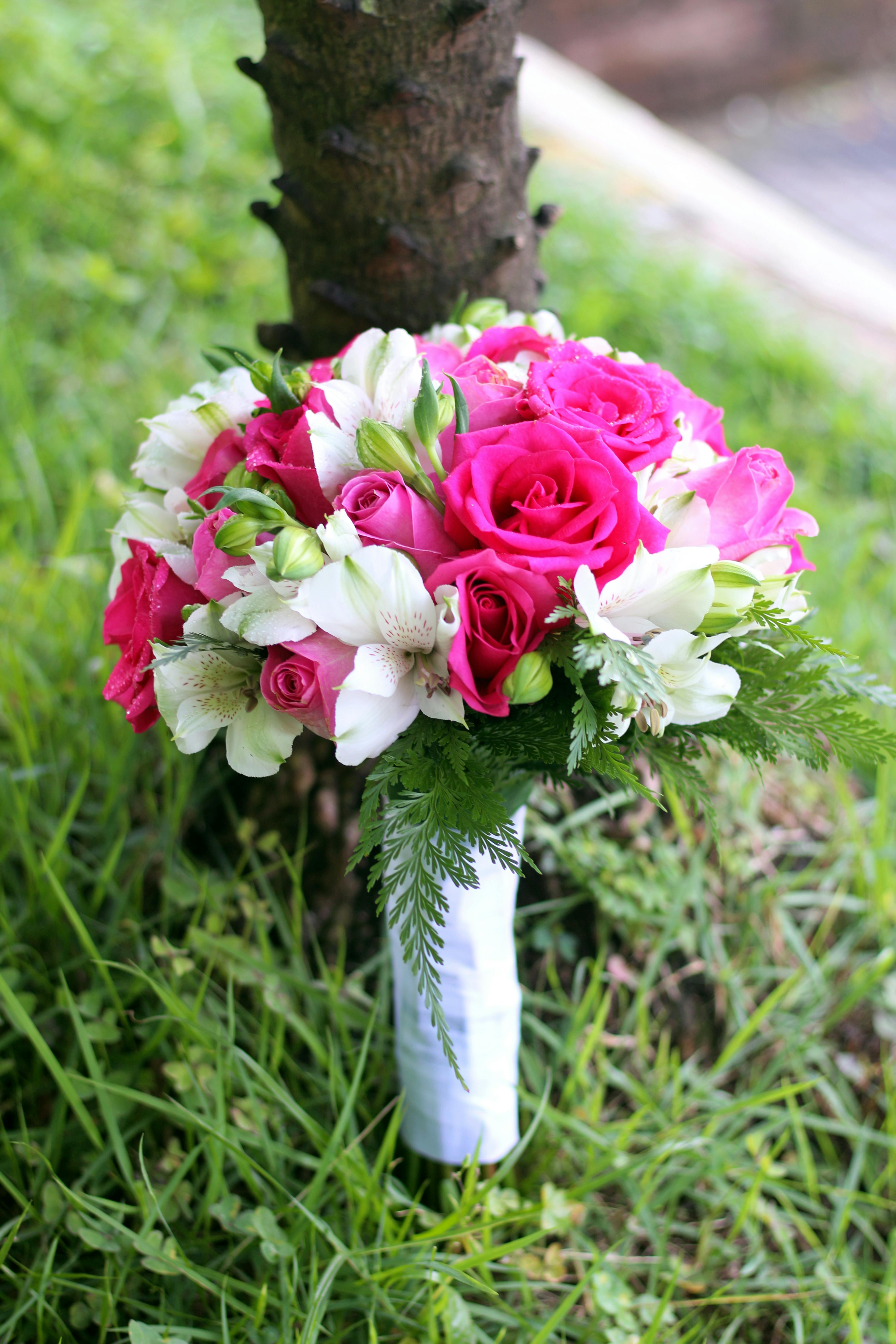 Bouquet of Pink Roses Near the Tree Trunk · Free Stock Photo