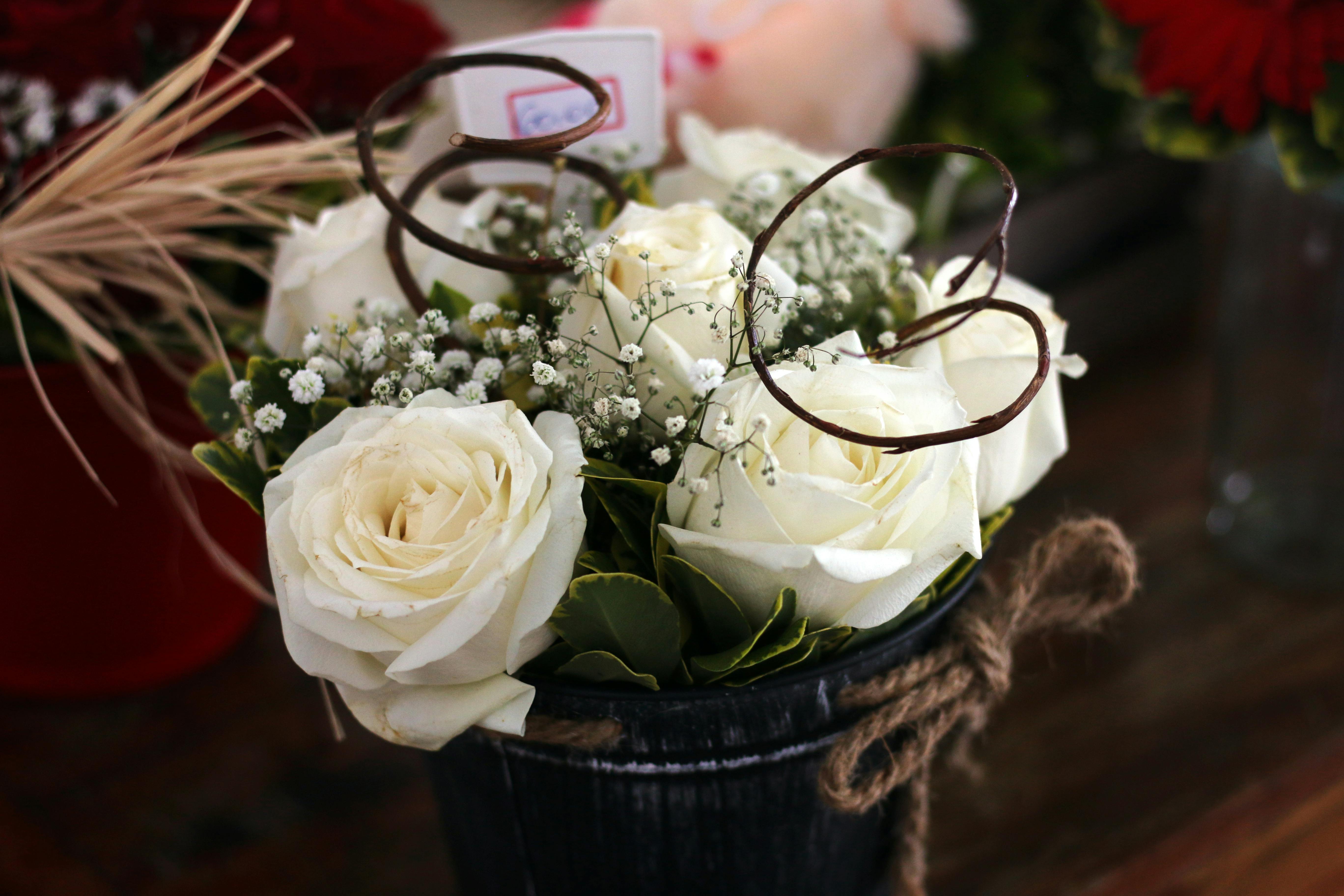 Rose Bucket Photos, Download The BEST Free Rose Bucket Stock Photos ...