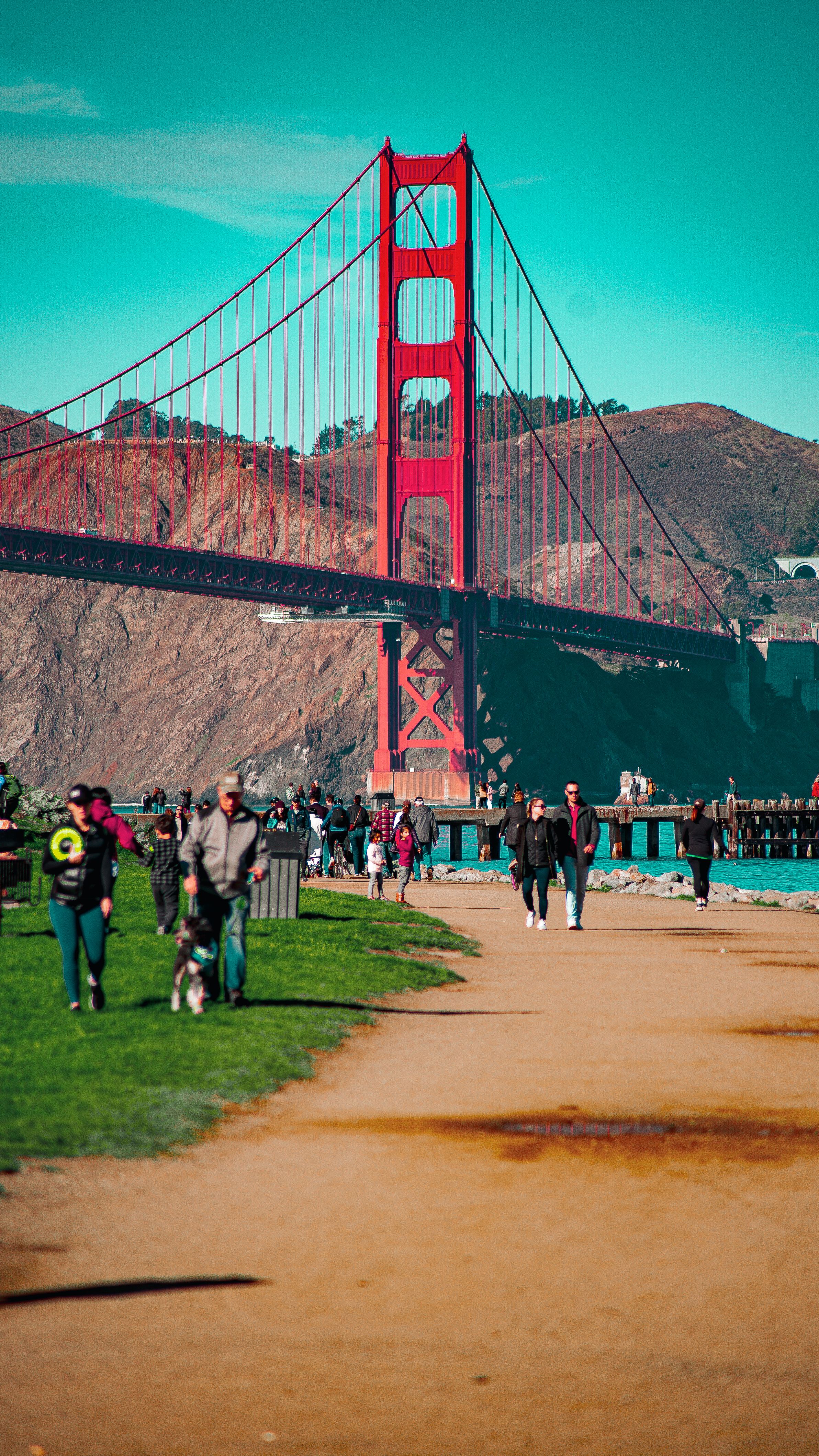 25,336+ Best Free Cable bridge Stock Photos & Images · 100% Royalty ...