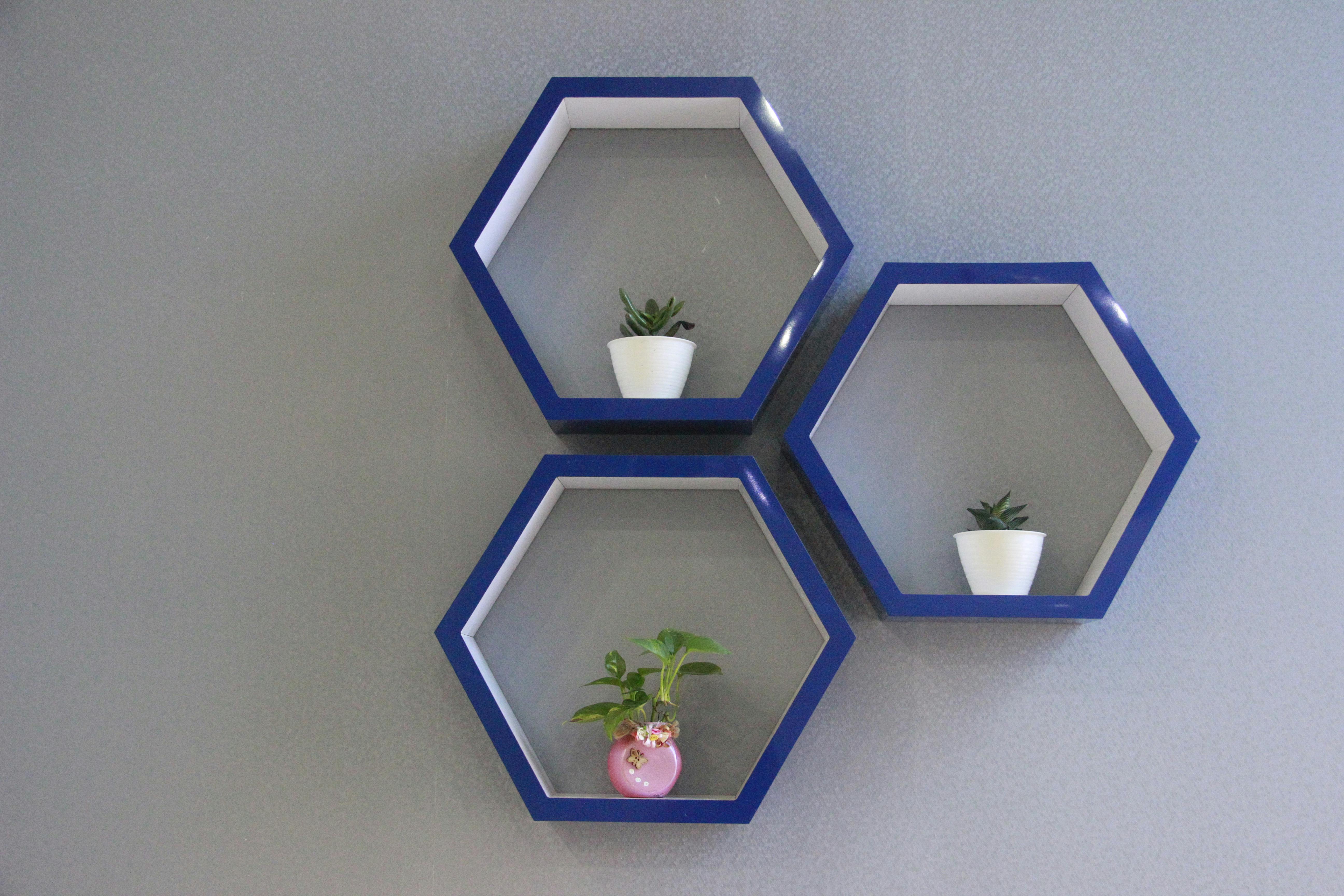 shouso boy - Fotografía