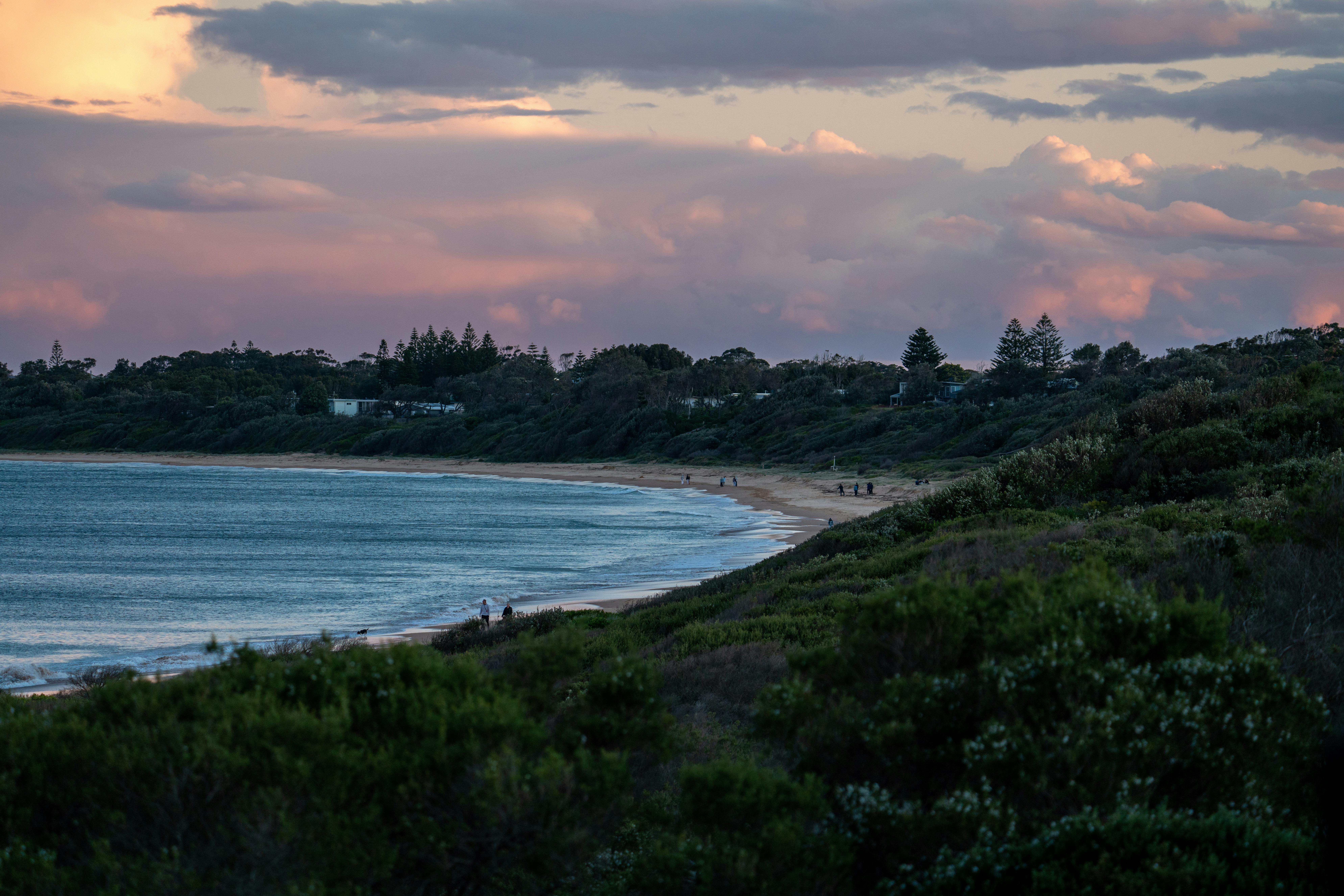 Grassy coast near rippling sea · Free Stock Photo