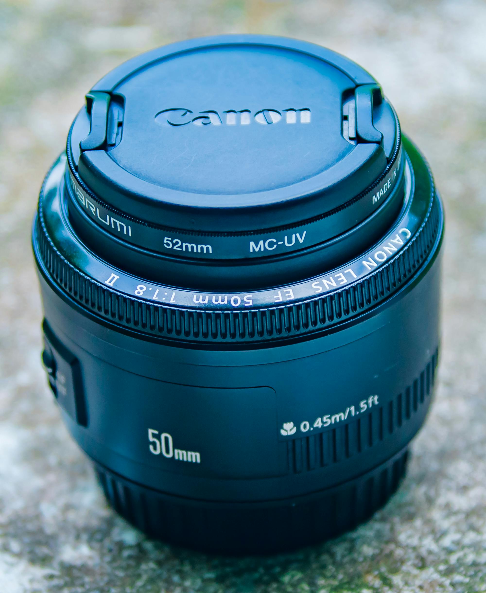 Dof Effect Photos, Download The BEST Free Dof Effect Stock Photos & HD ...