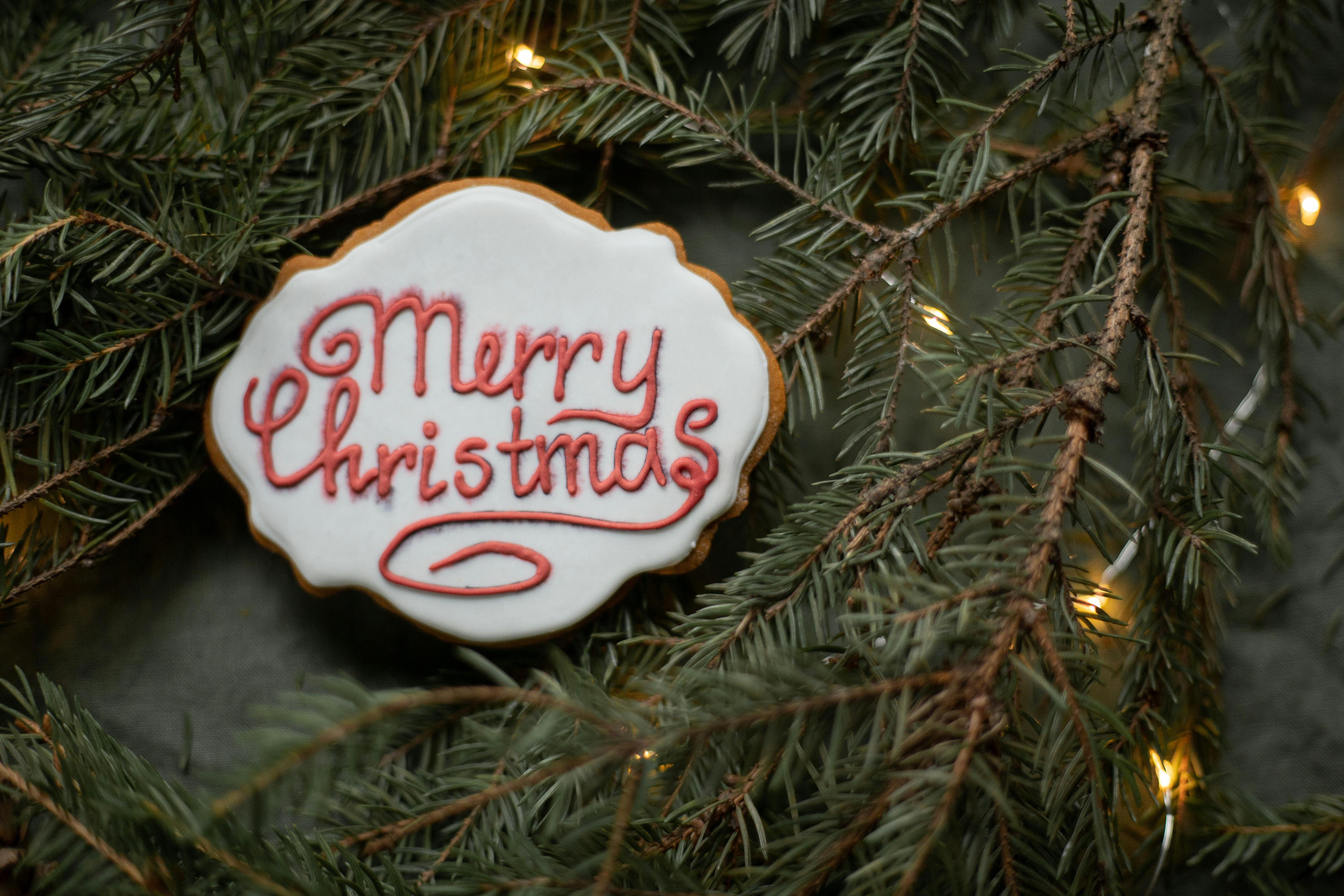 Tasty biscuit with Merry Christmas title on fir sprigs · Free Stock Photo