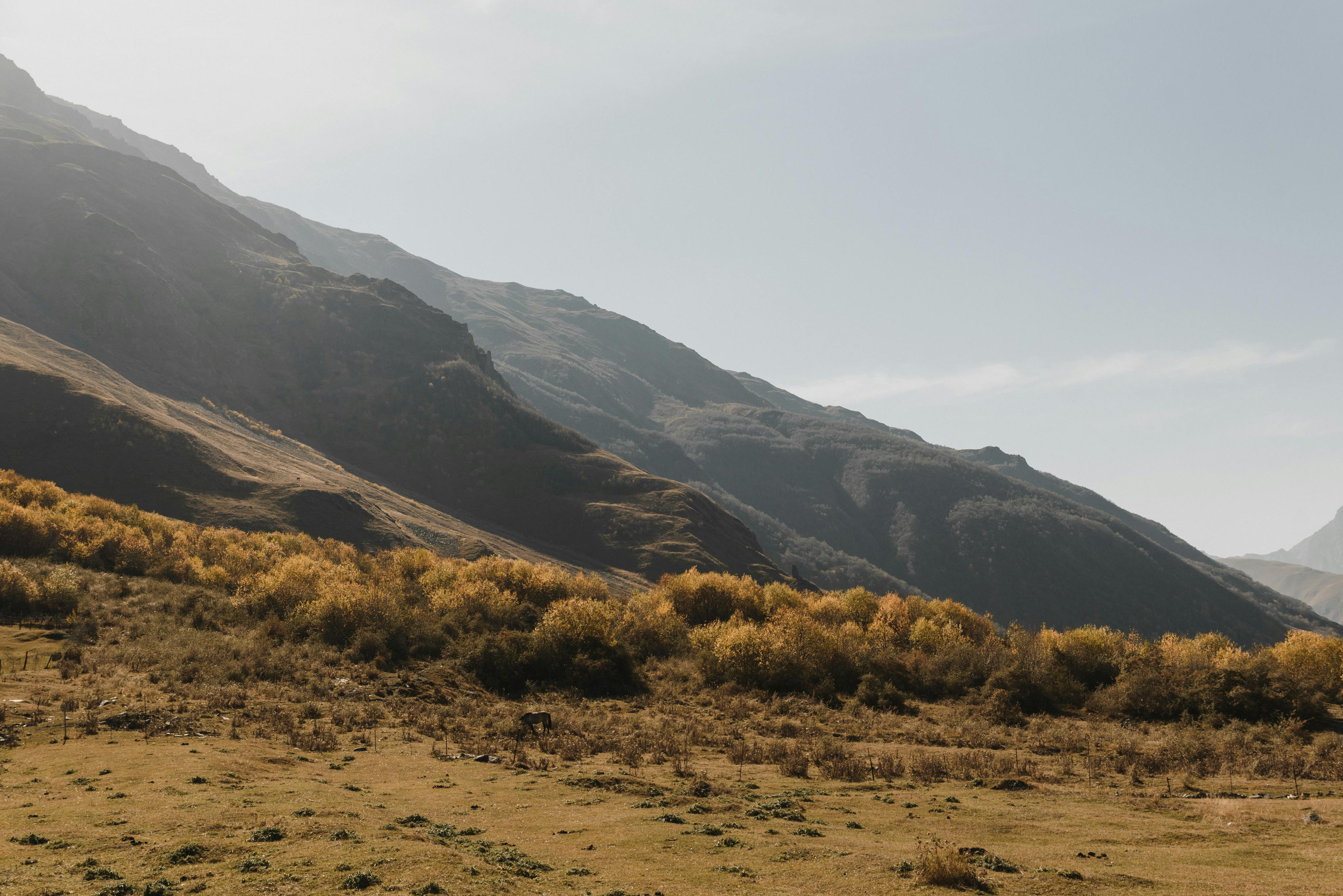 Natural Scenery with Hills · Free Stock Photo