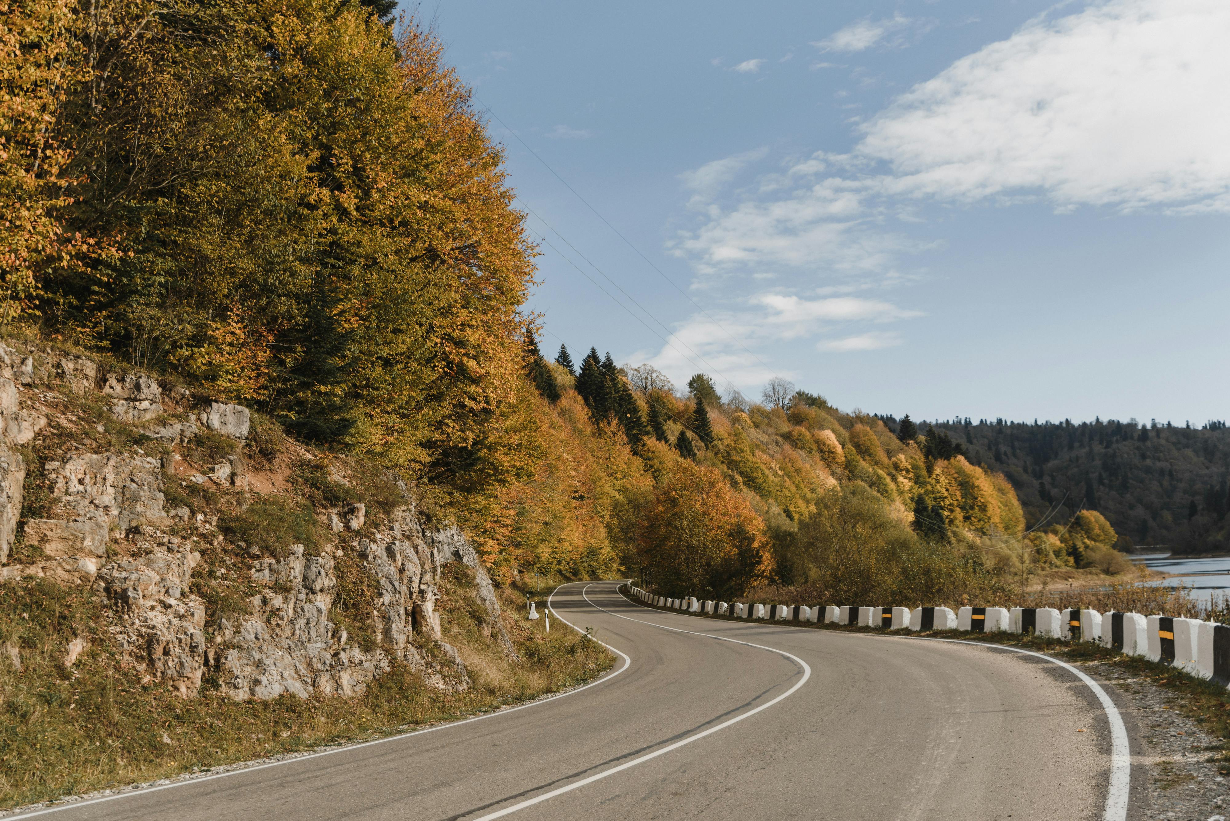 Rustic Roadway Background Photos, Download The BEST Free Rustic Roadway ...