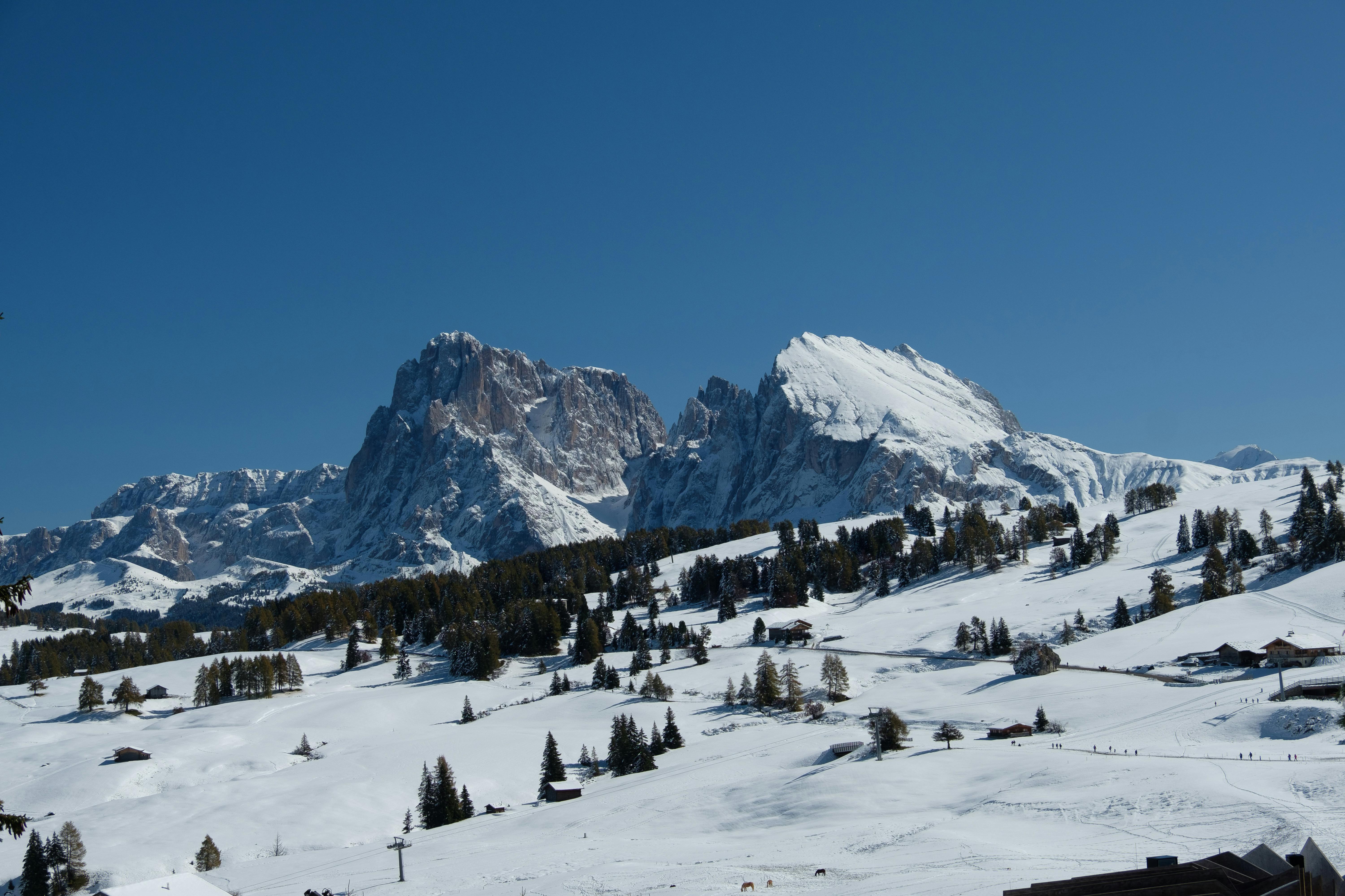 Seiser Alm with a View of the Langkofel Group in Background During ...
