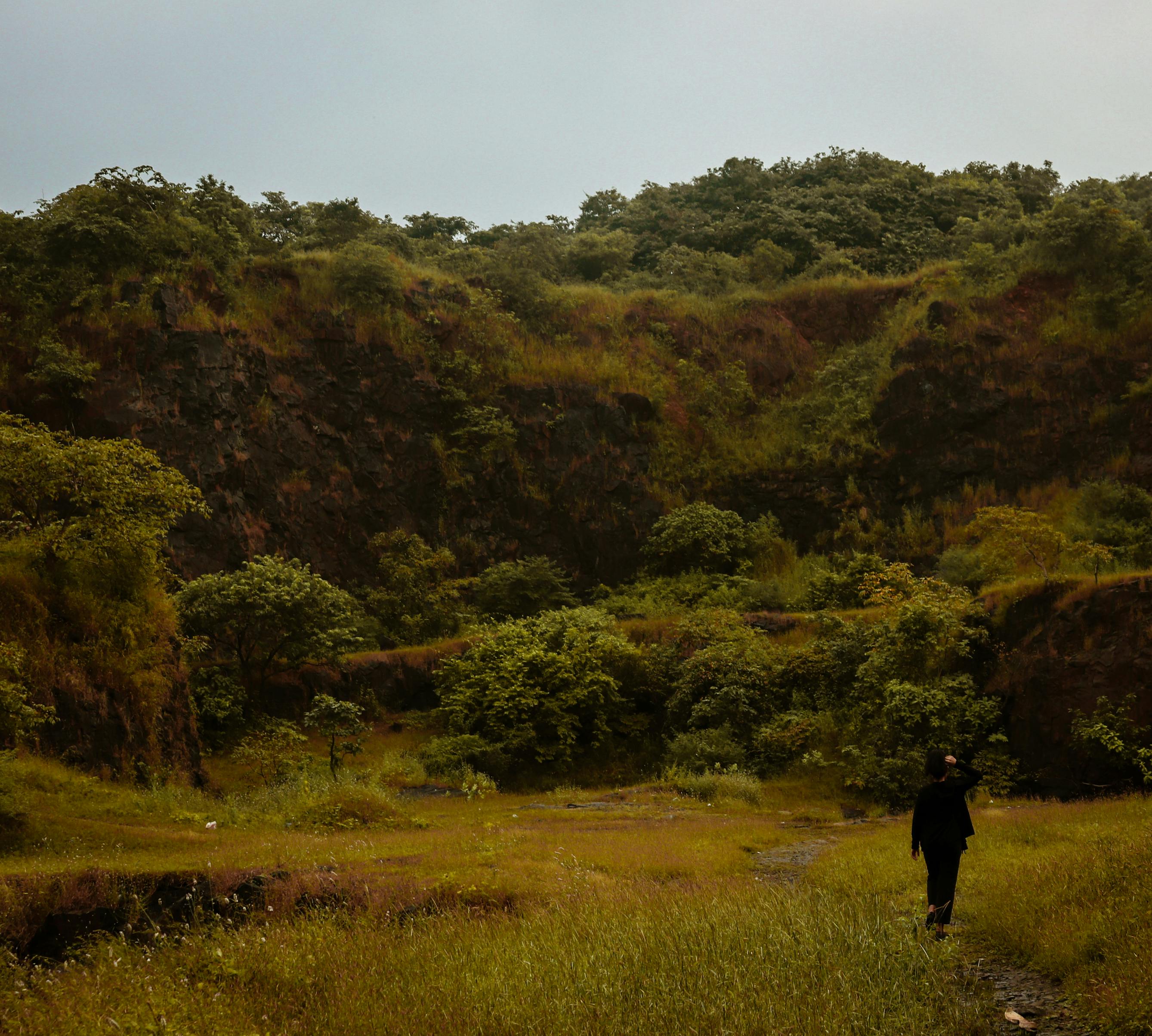 People in a Forest · Free Stock Photo