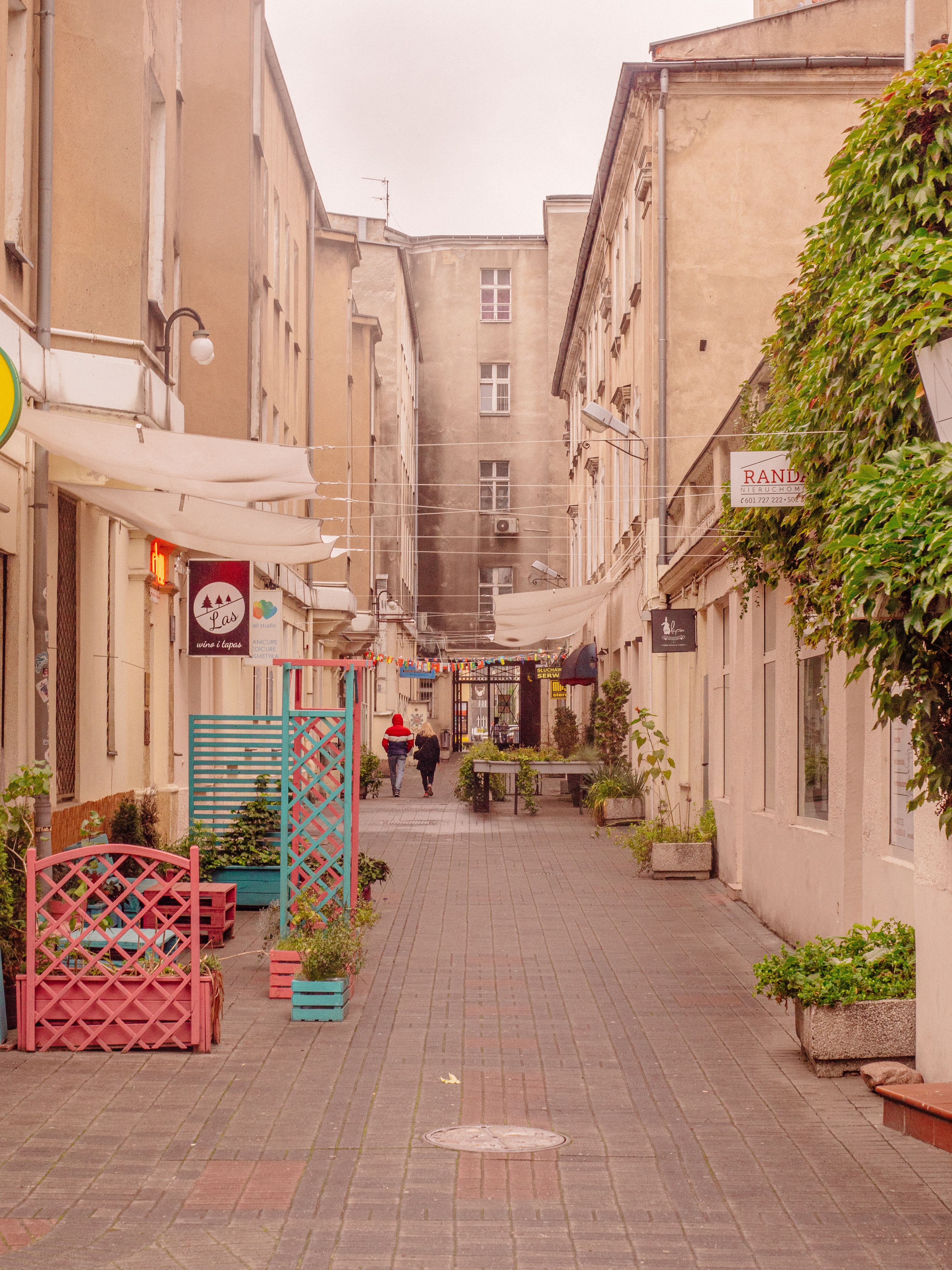 Narrow paved street with green plants · Free Stock Photo