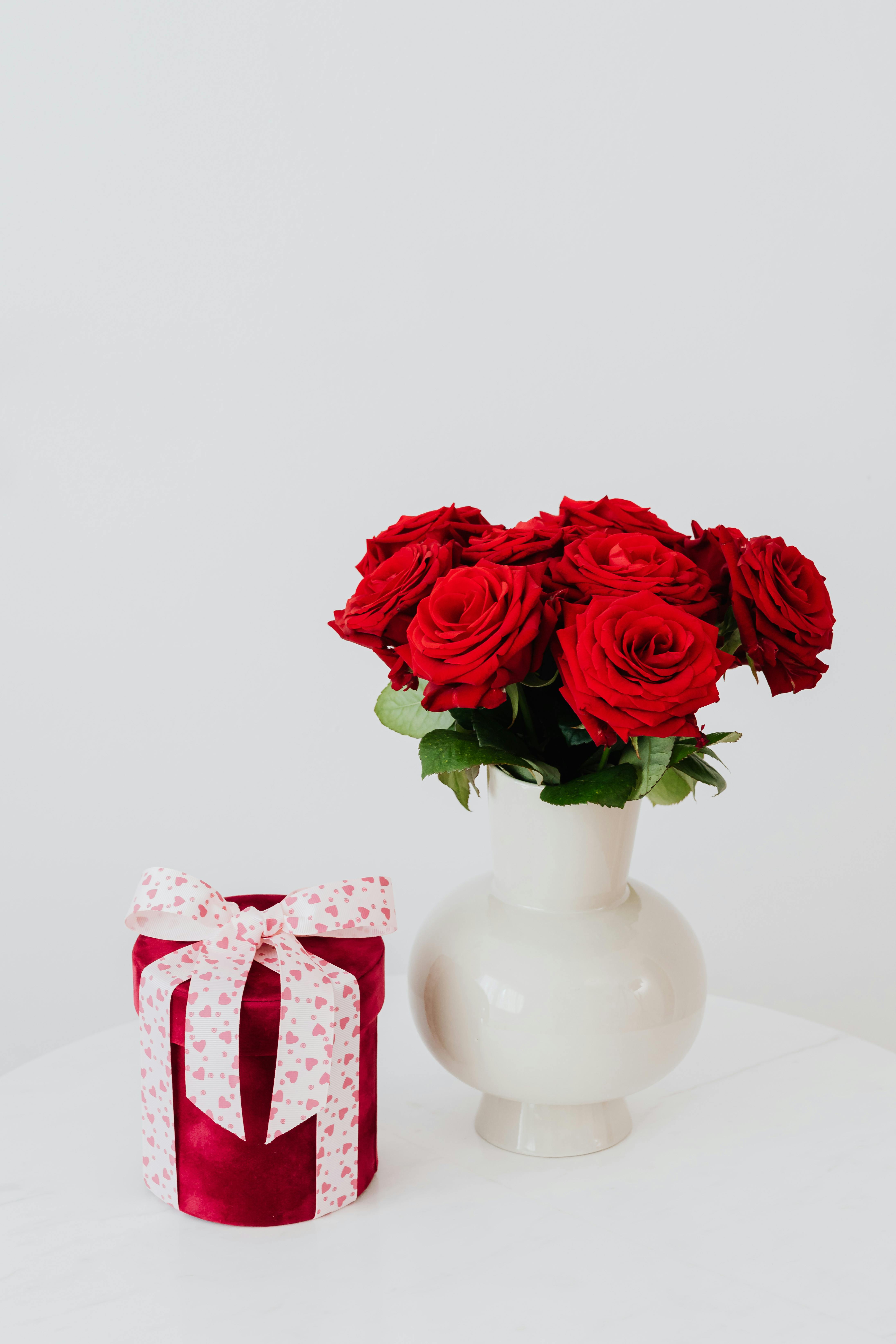 Red Roses and a Present on a White Surface · Free Stock Photo