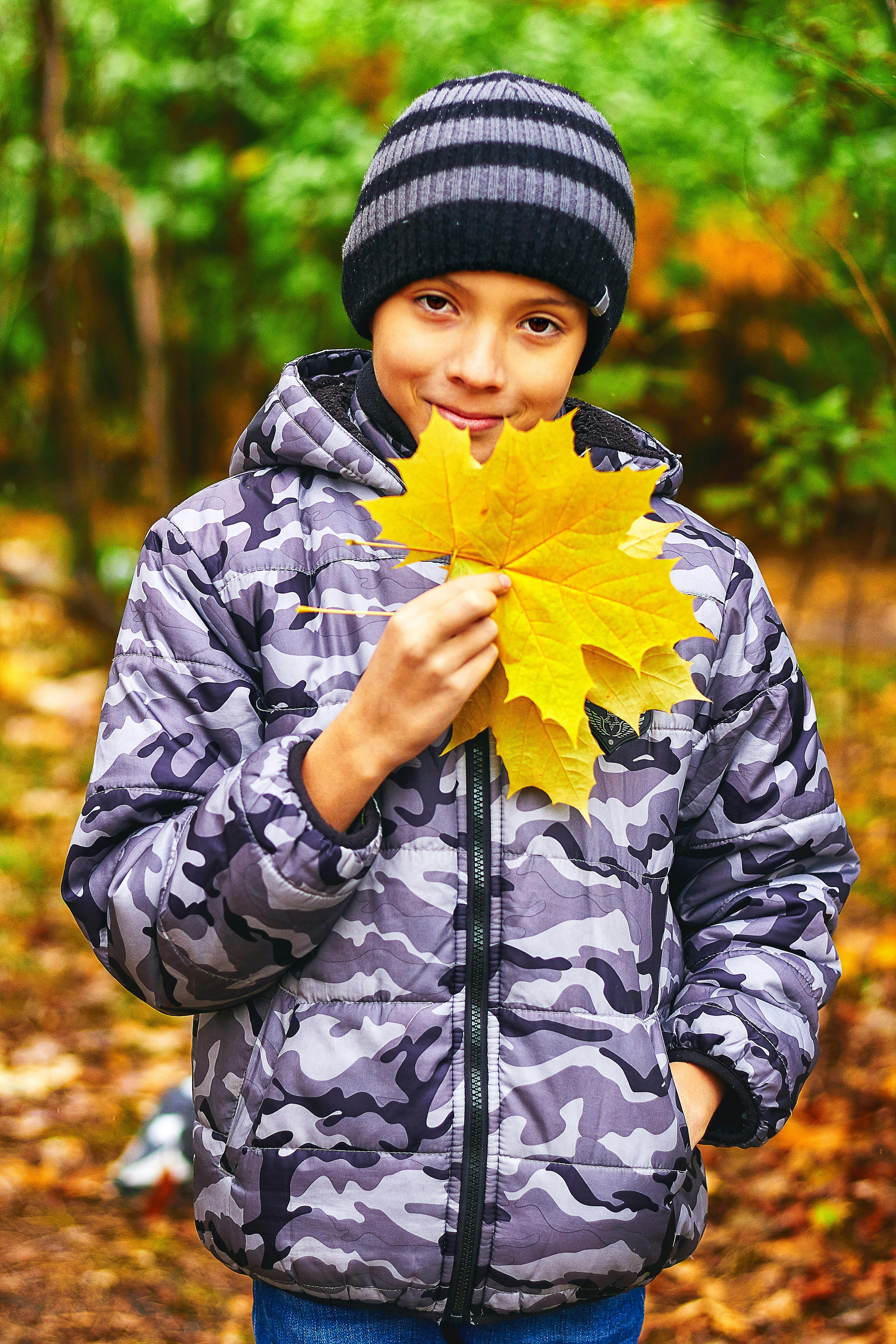 Portrait of Boy Posing with Leaves in Autumn Park · Free Stock Photo