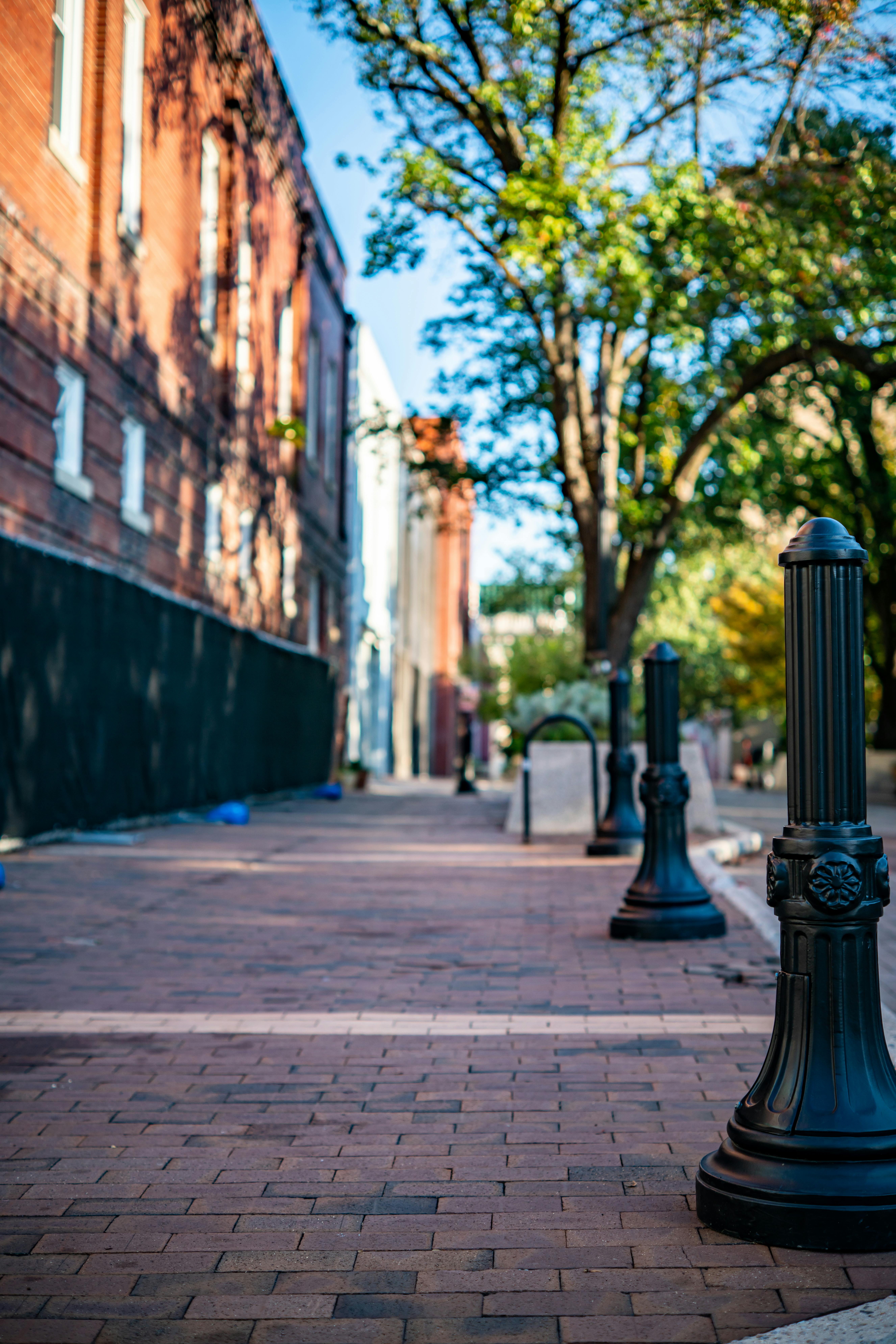 Bollards on the Sidewalk · Free Stock Photo