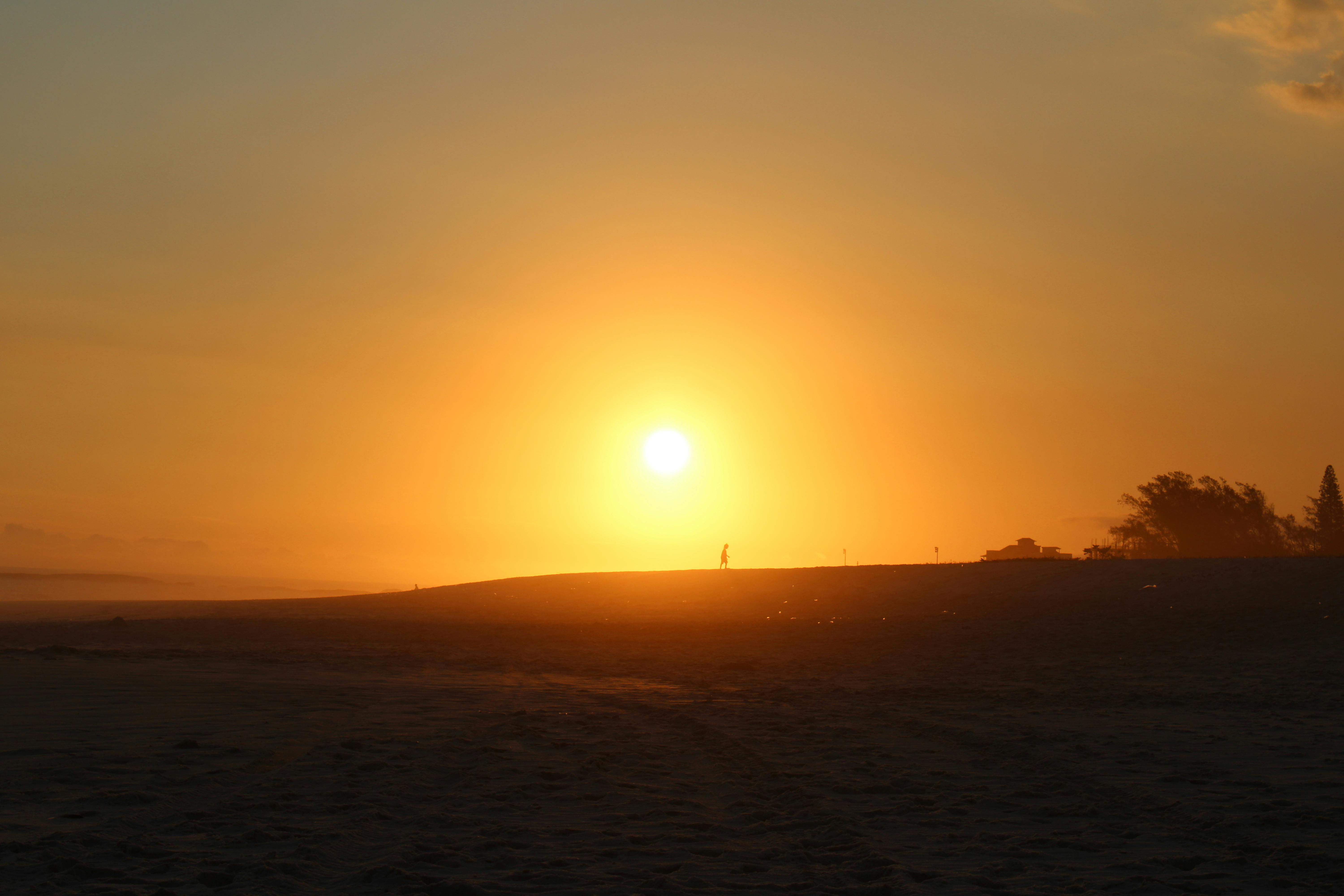 Silhouette of Sitting Person at Sunset · Free Stock Photo